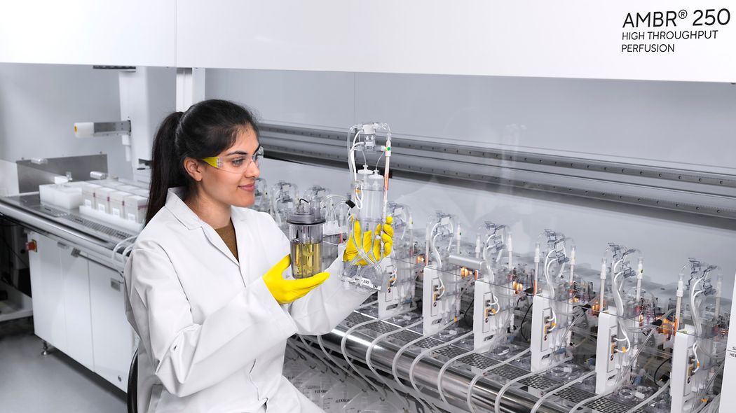 Multi-Parallel Bioreactors | Sartorius