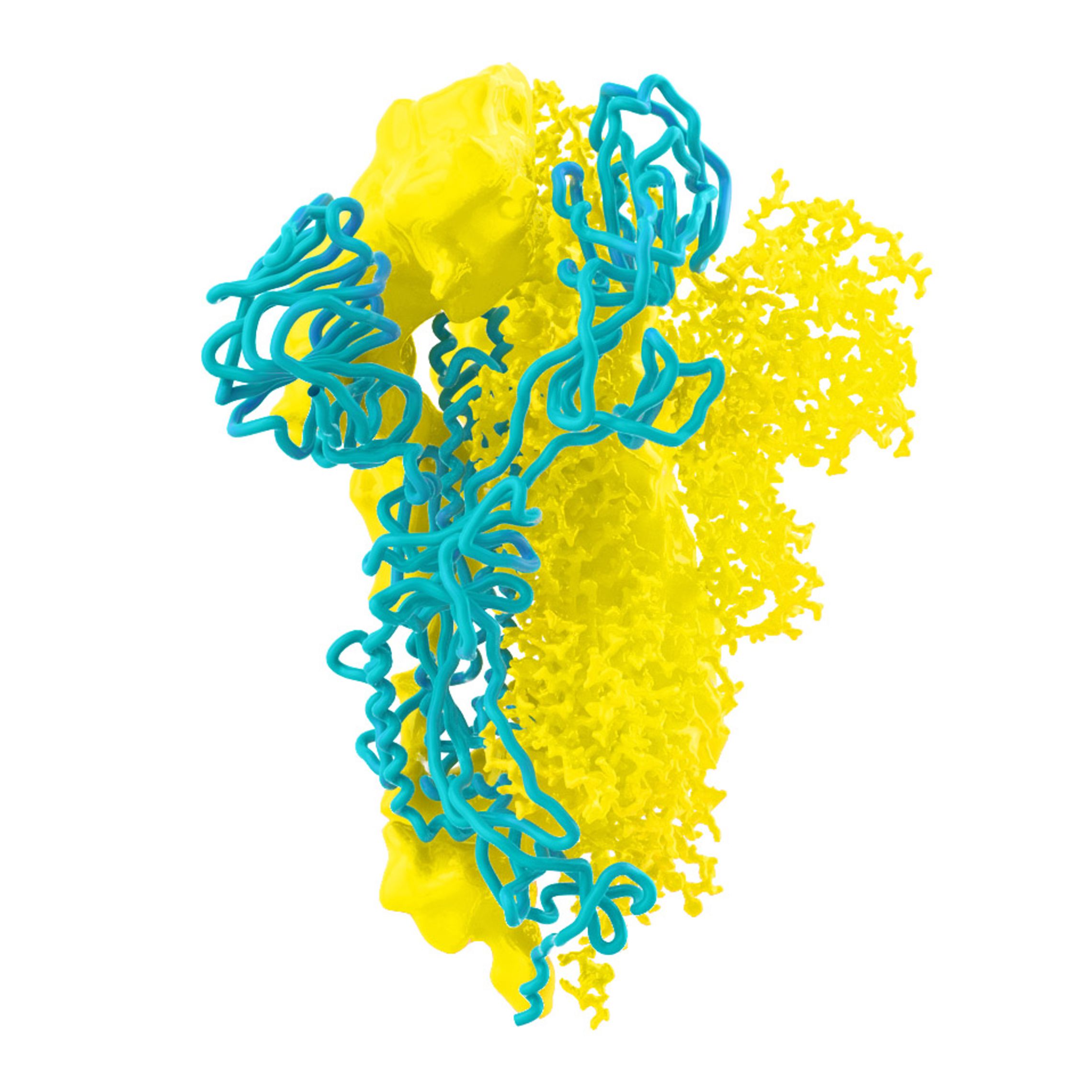 Recombinant Subunit Vaccines | Sartorius