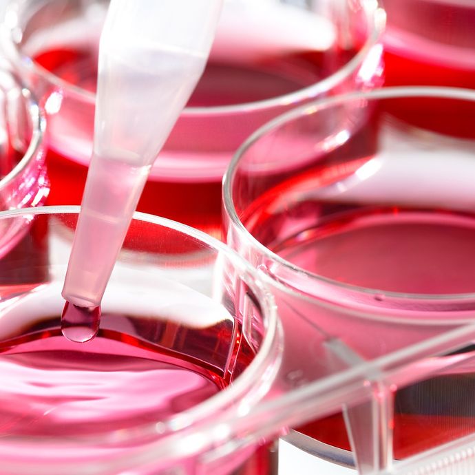 Sterile Cell Culture Preparation | Sartorius