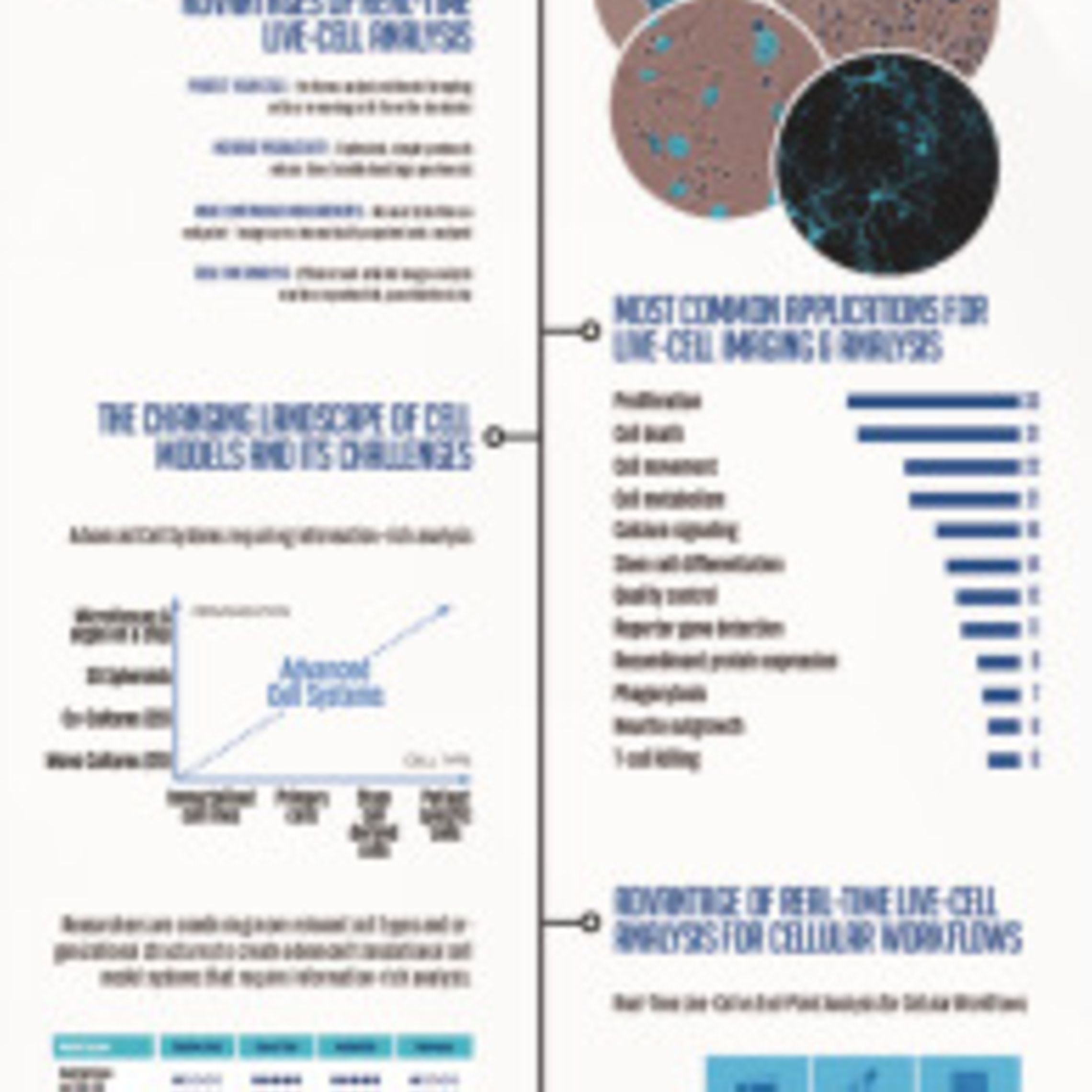 Critical Challenges in Cell-Based Analysis
