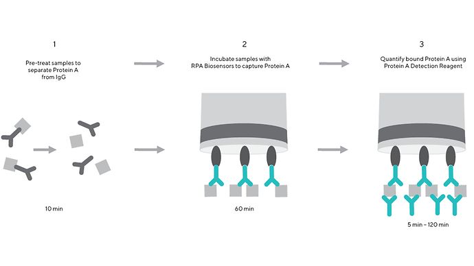 Octet® HTX | Sartorius