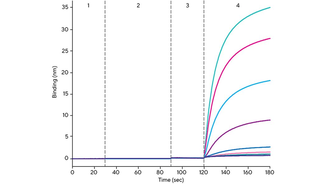 Titer And Impurity Testing Sartorius