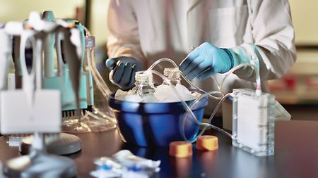 Cell Culture Tools for Primary Cells & Cell Lines | Sartorius