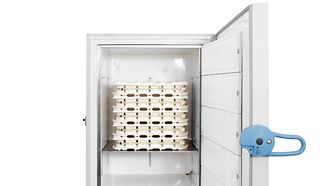 Celsius® FFT Platform | Sartorius