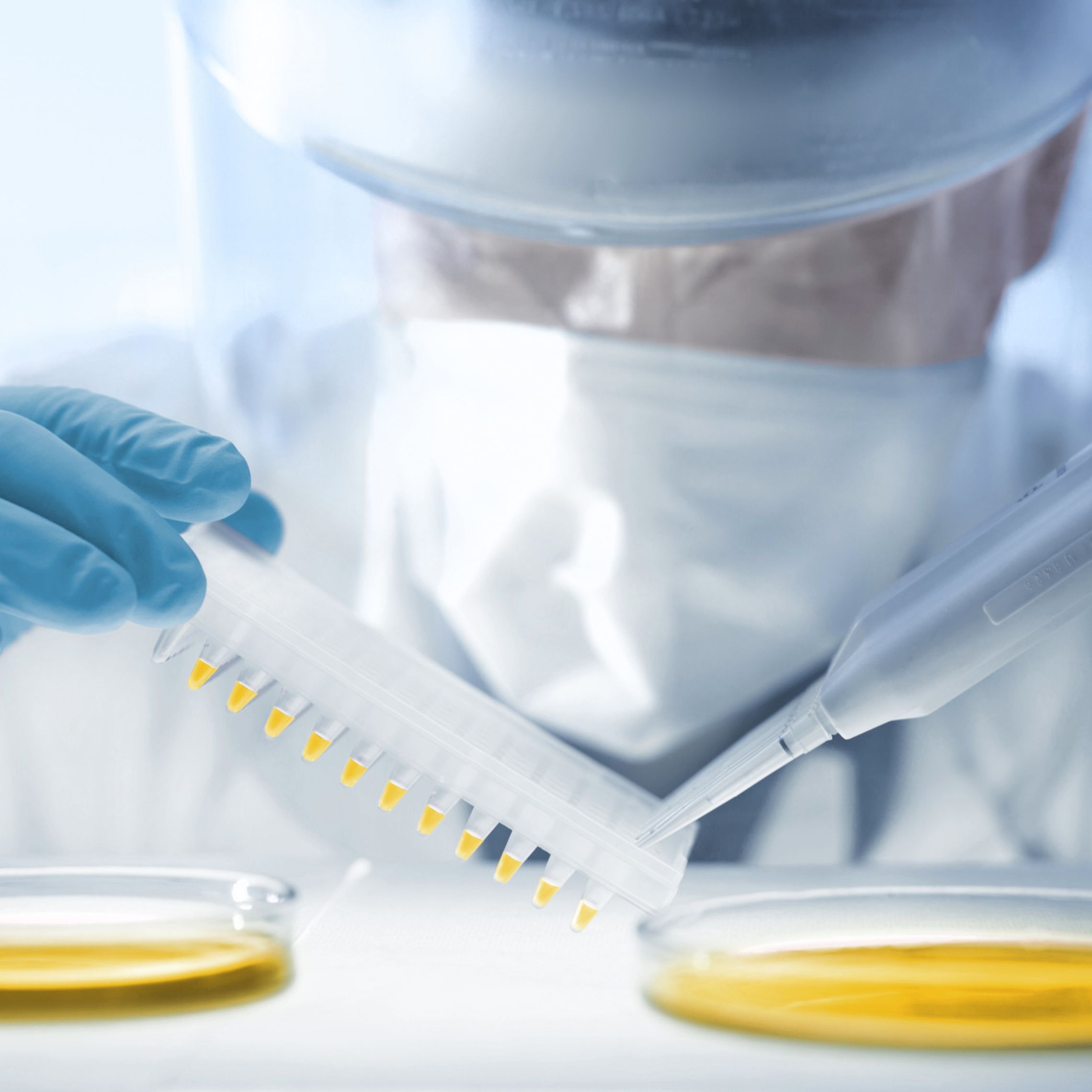 Desarrollo, selección e identificación de líneas celulares | Sartorius