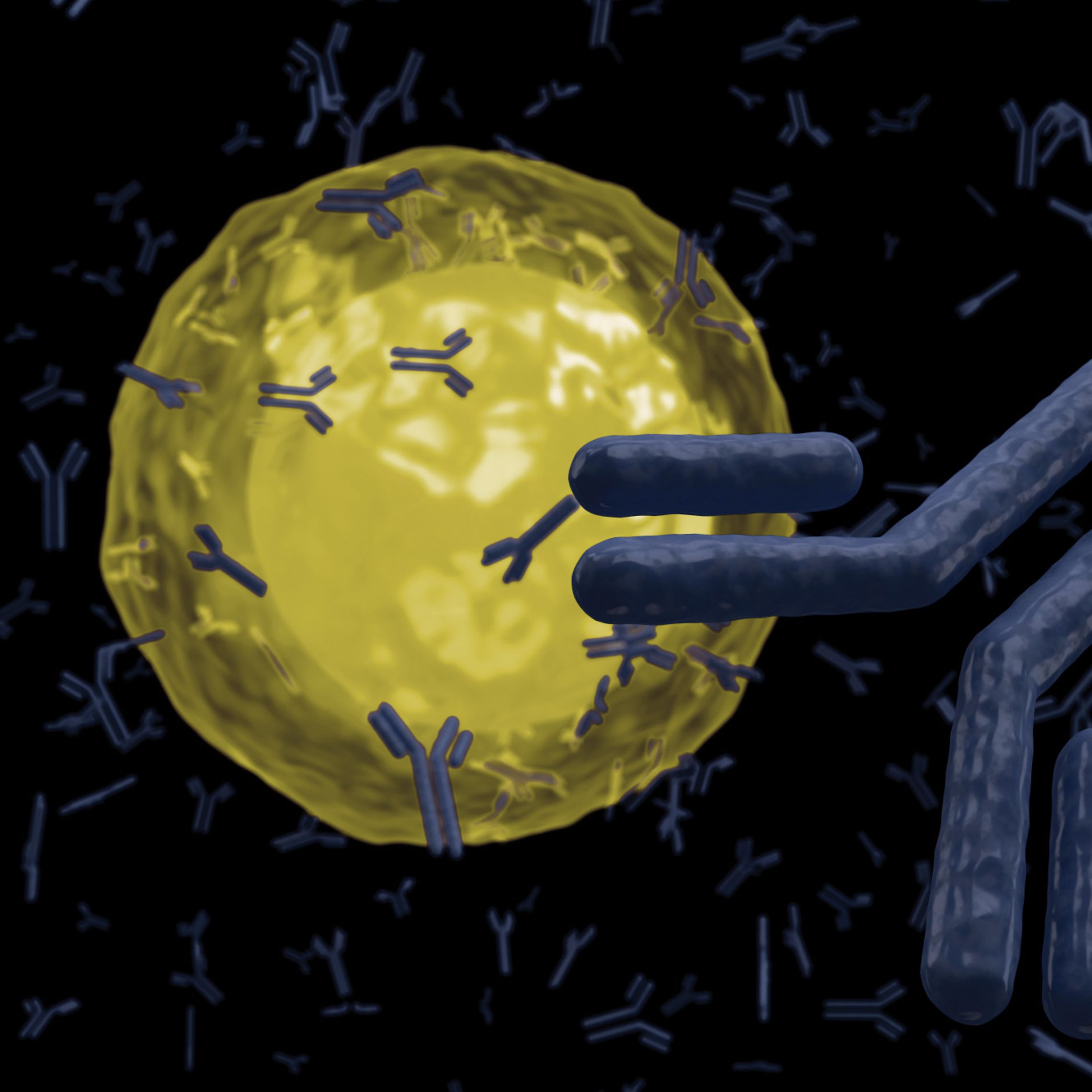 Caracterización de mAb | Análisis estructurales y funcionales | Sartorius