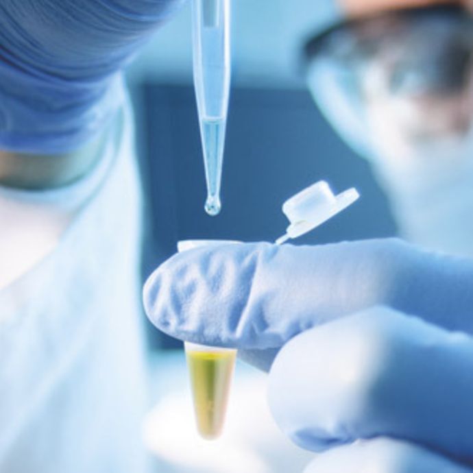 BioOutsource & Cellca Are Now Part of Sartorius