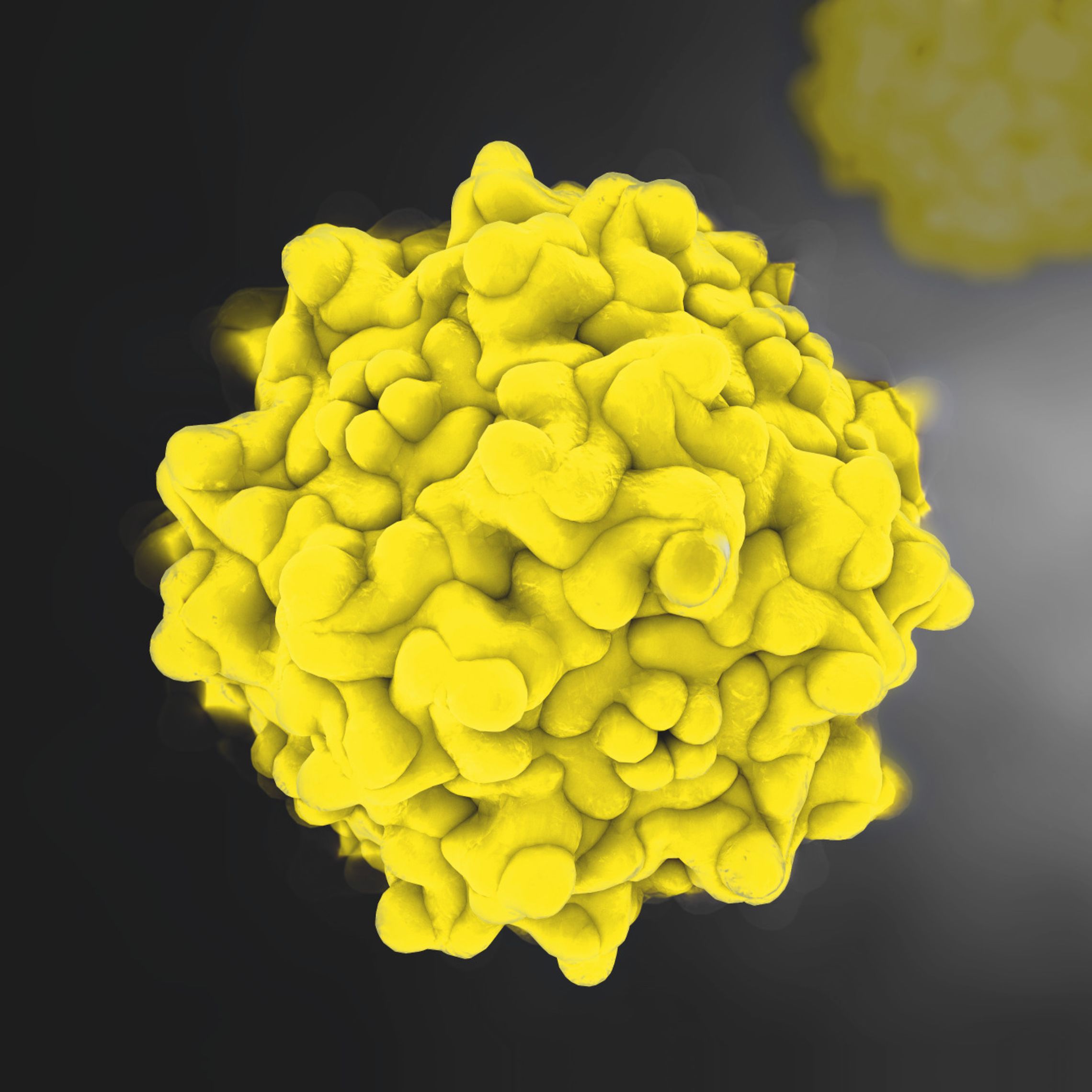 A New-Wave Biosensor Approach for Direct, Fast and High-Throughput AAV ...