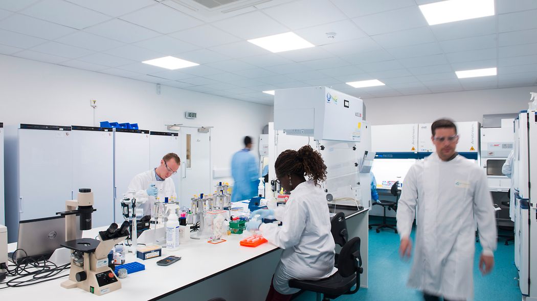 Cell Line Development | Sartorius