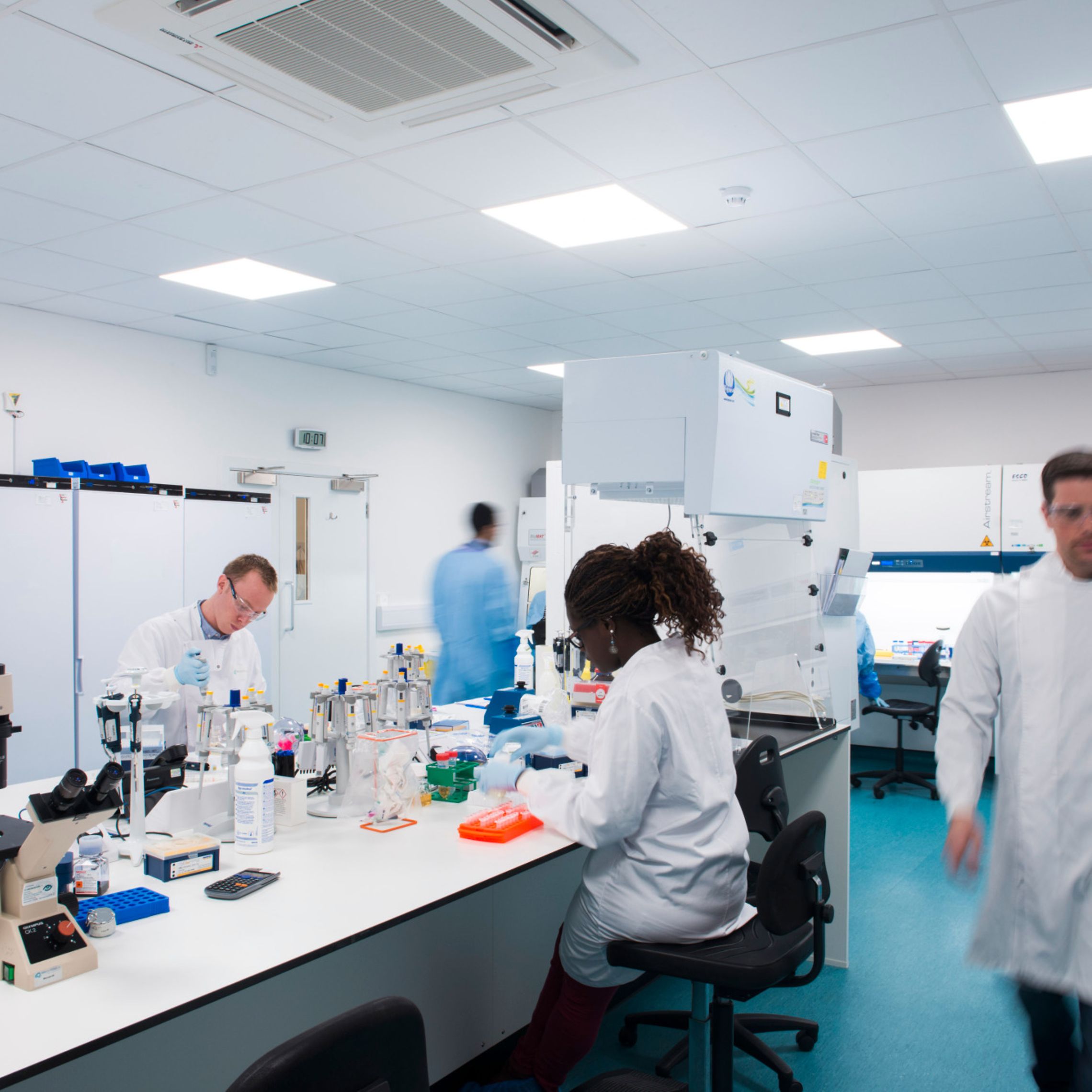 Host Cell Line | Sartorius