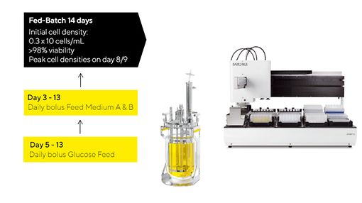 Improved Clone Evaluation and Selection of CHO Cell Lines using Ambr® 15