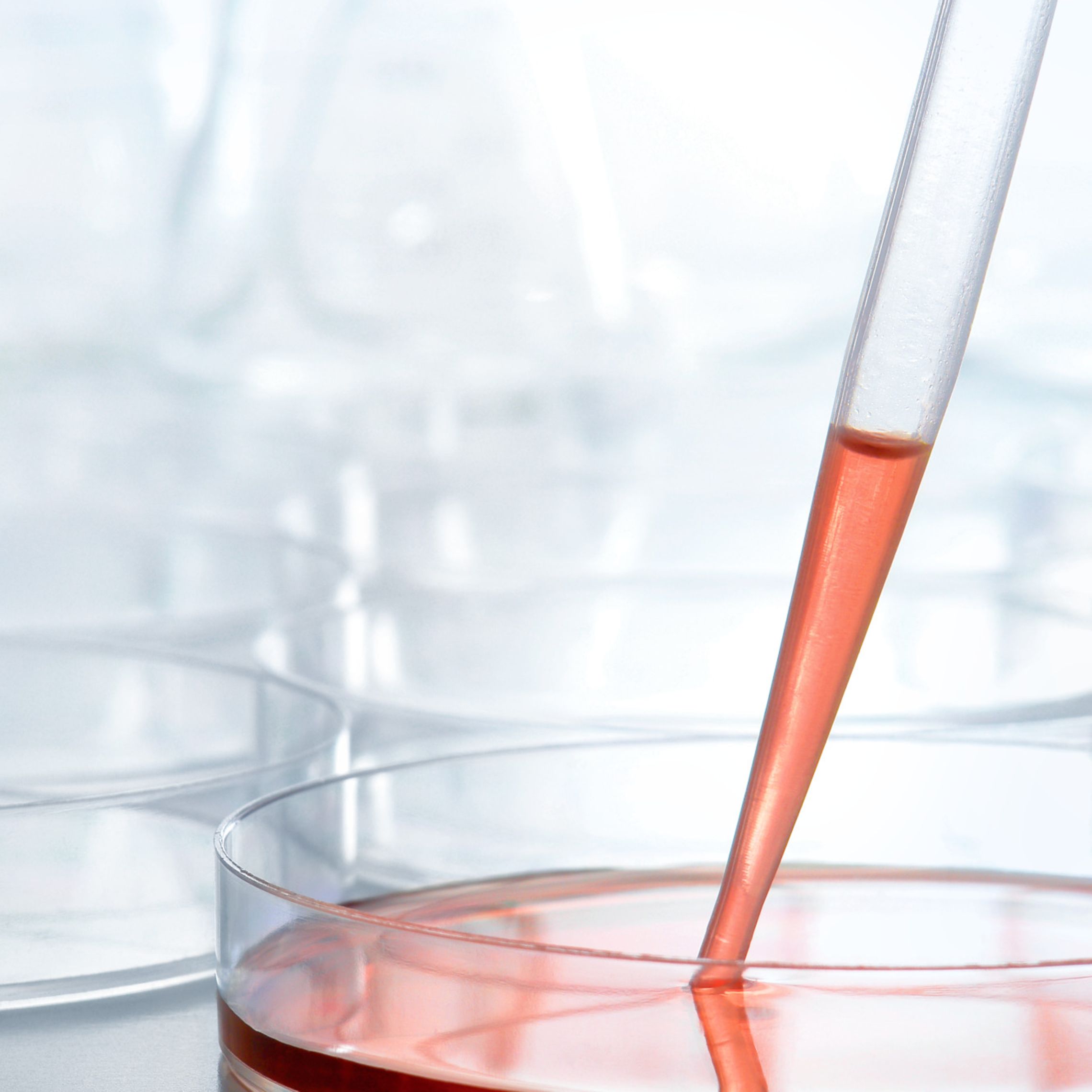 Why Glycan Analysis is an Essential Part of Therapeutic Protein ...