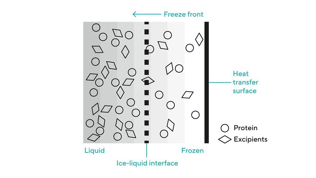 Evaluating Freeze/Thaw Processes in Drug Manufacturing