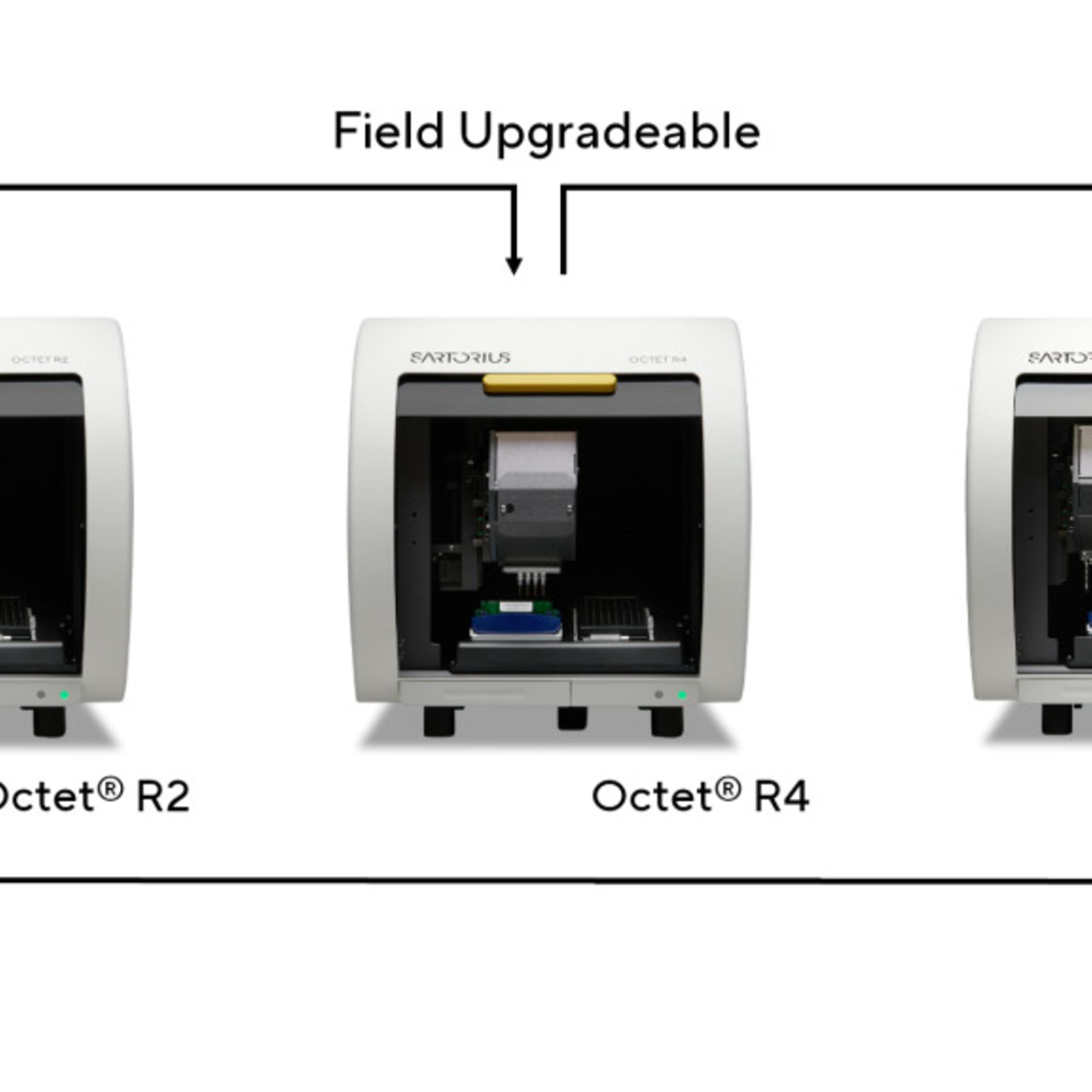 Octet® R Series | Sartorius