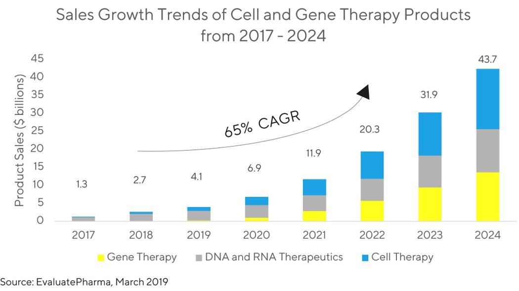 How CDMOs Can Digitalize Their Cell and Gene Therapy Processes
