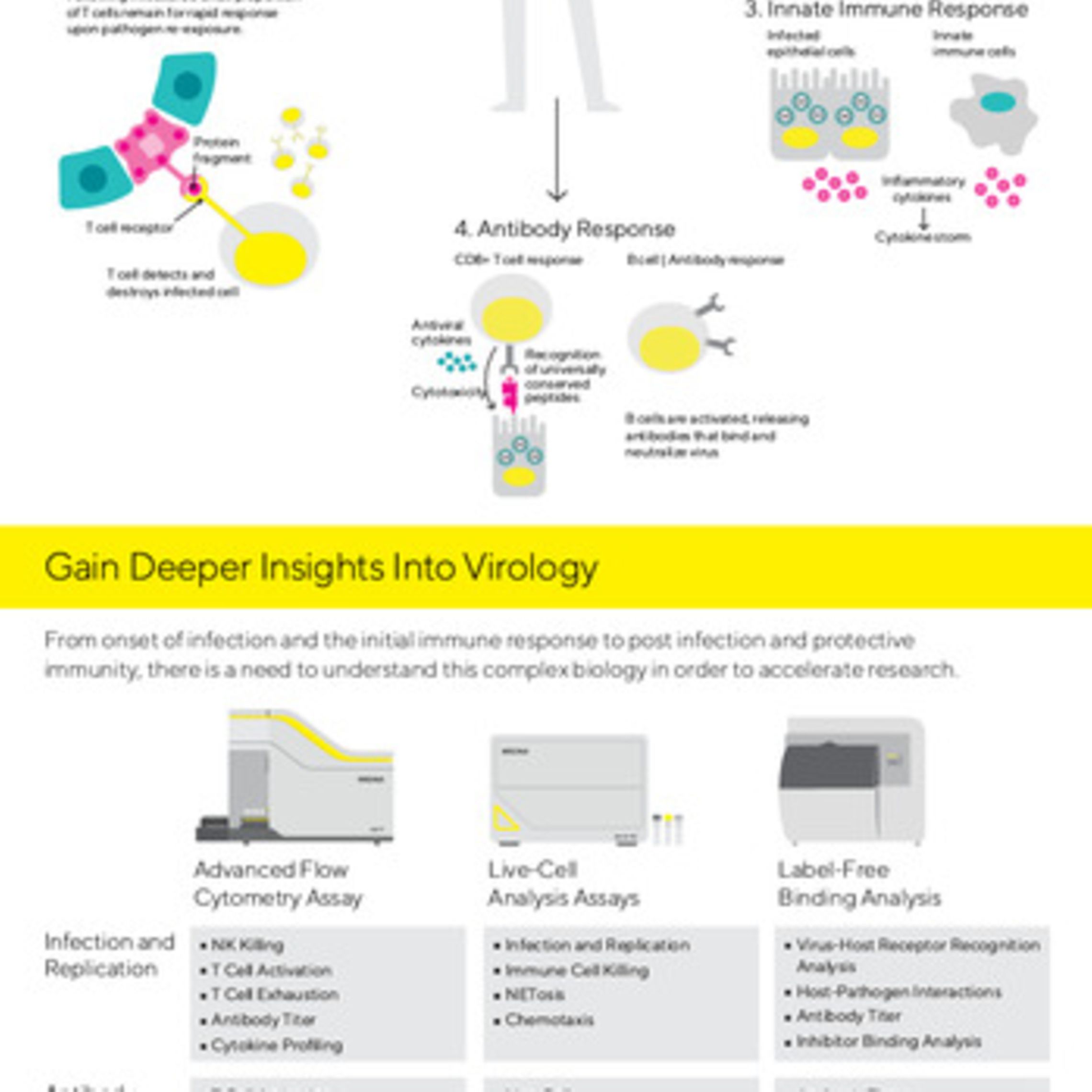 Evaluating Viral Infections Across the Entire Host Pathogen Life Cycle ...