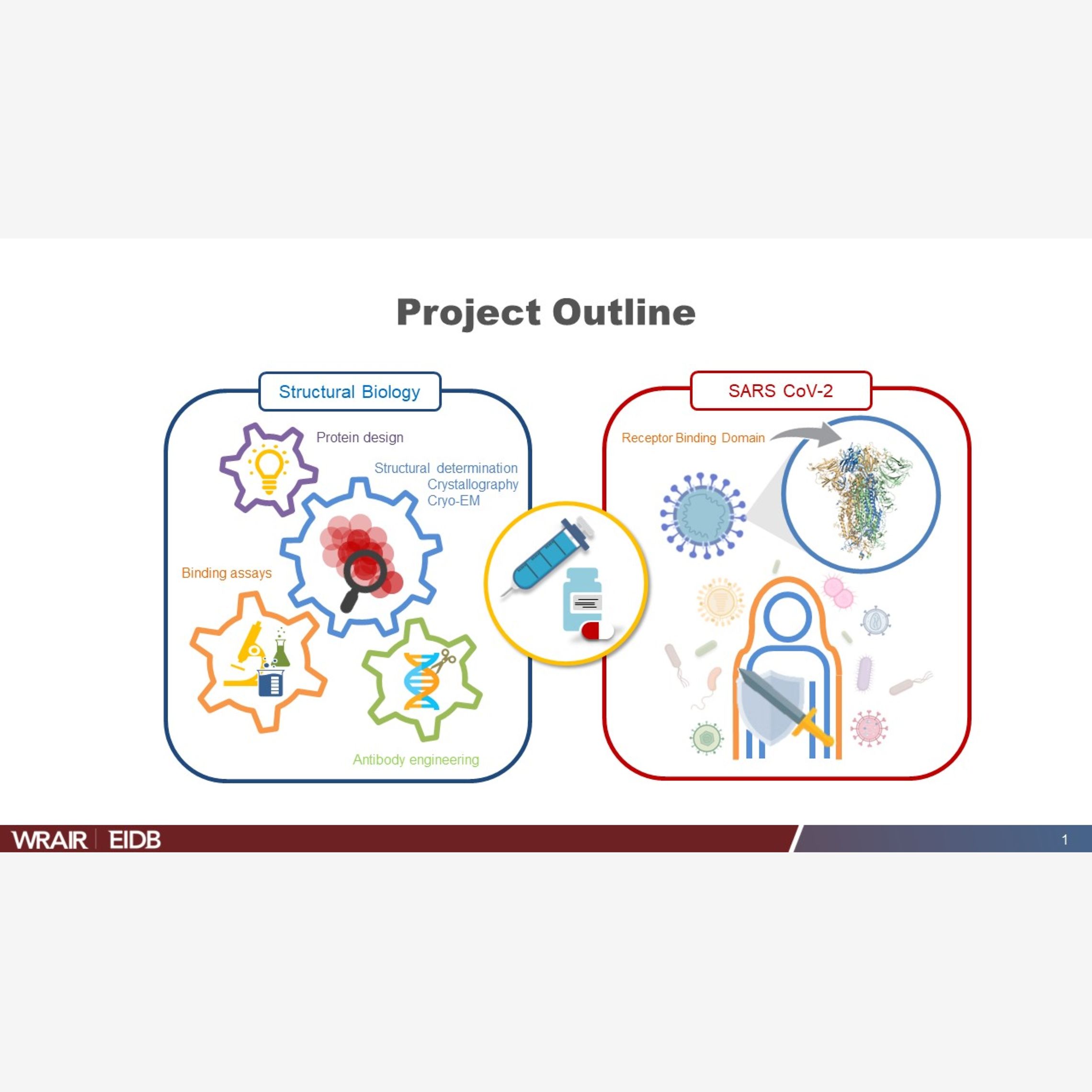 Rapid Characterization and Selection of SARS-CoV-2 Vaccine Candidates ...
