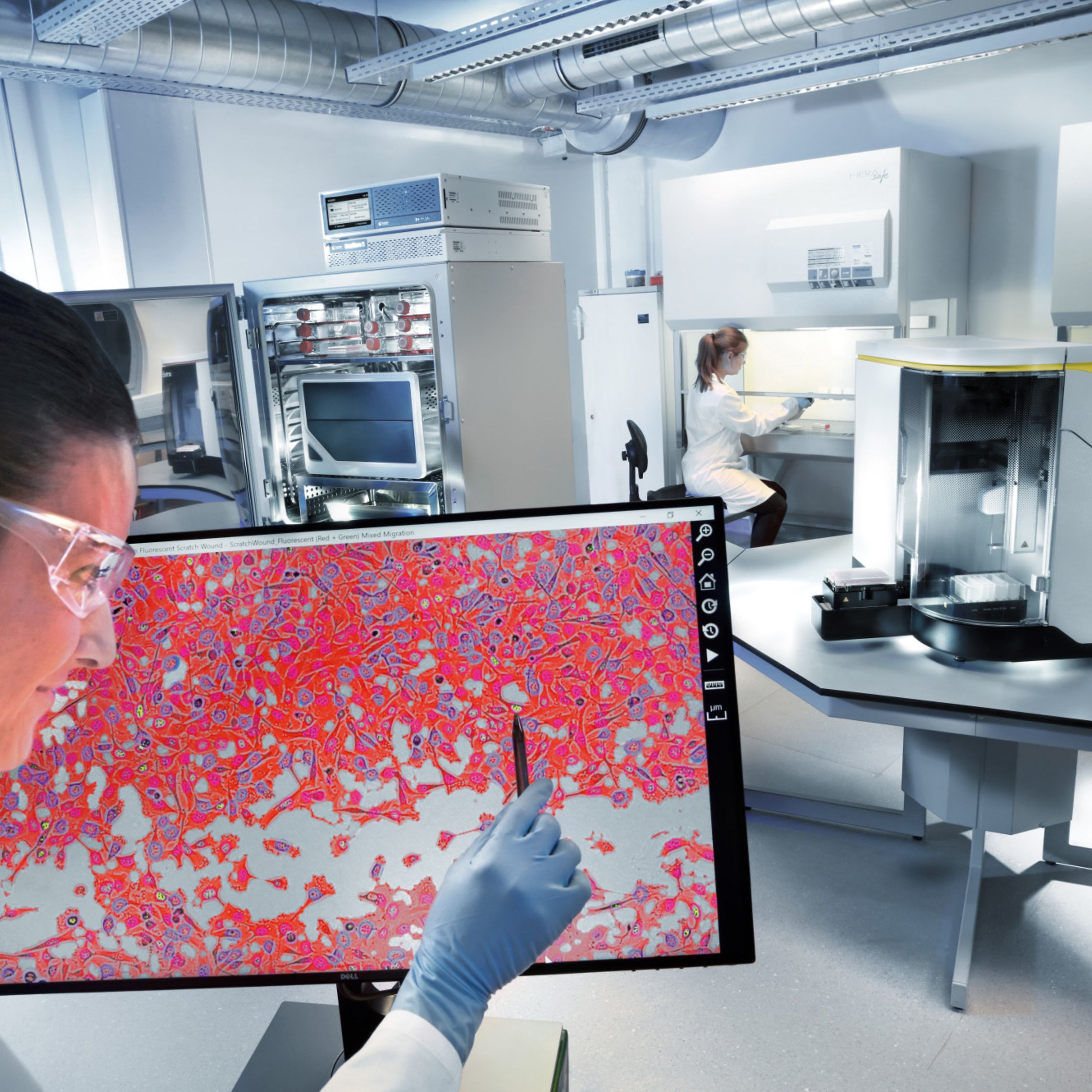 Live-Cell Analysis and Suspension Cell Screening | Sartorius