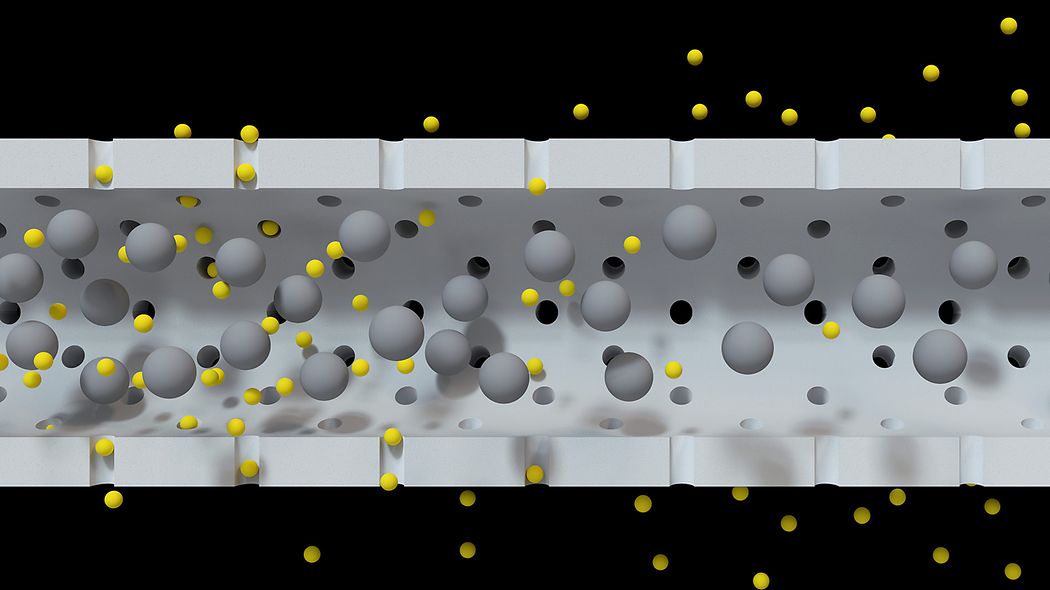 Hollow Fiber TFF | Sartorius
