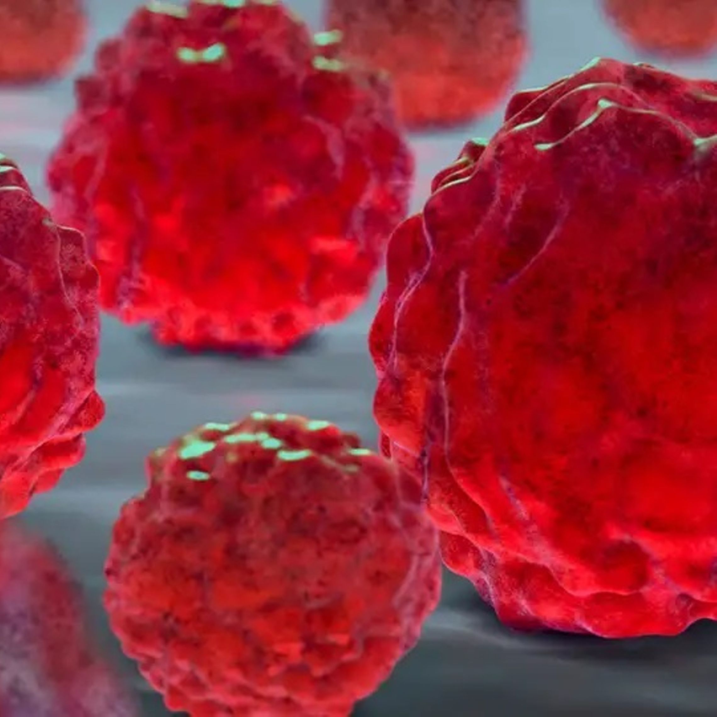 Incucyte S3 Software v2018A | Sartorius