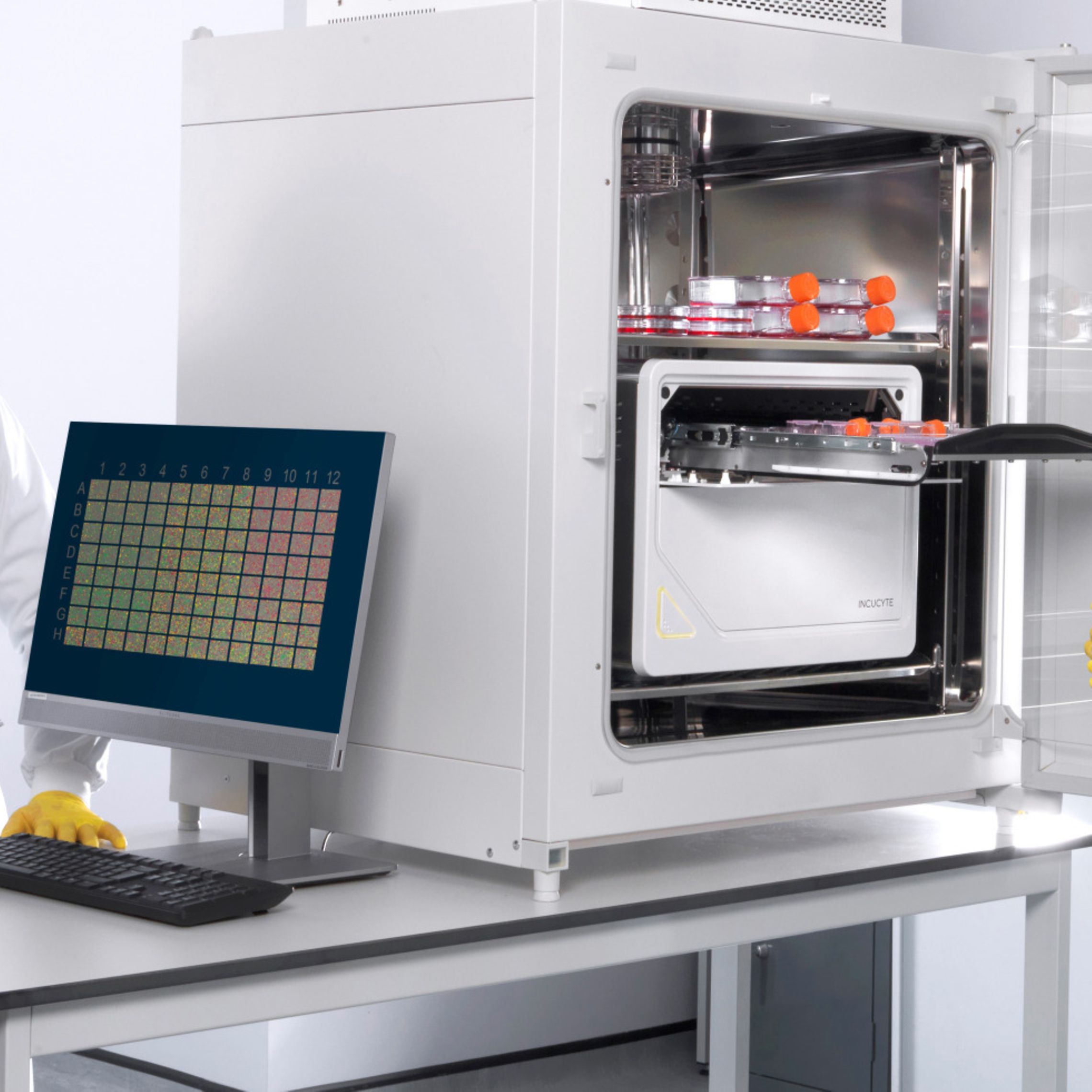 Live Cell Analysis Software | Sartorius