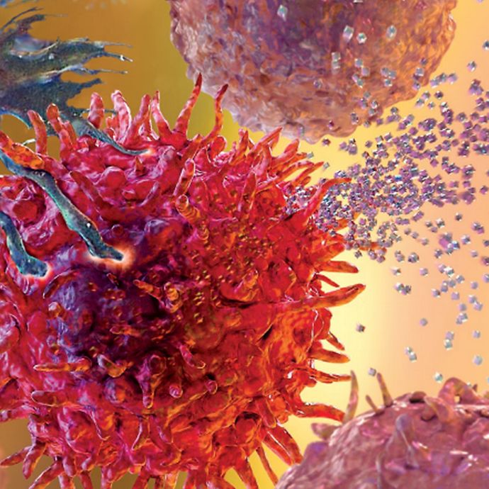 Flow Cytometry Reagents | Sartorius