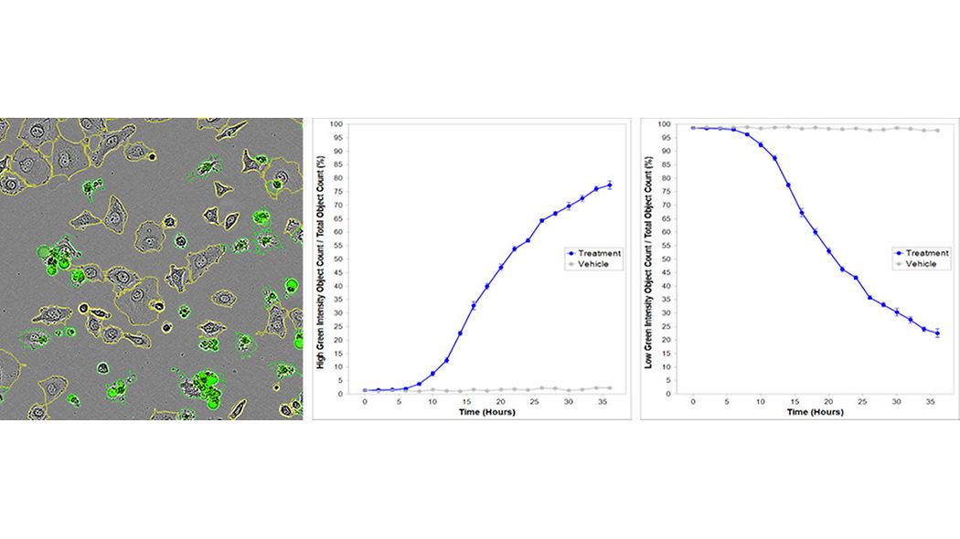 Incucyte Cell By Cell Analysis Software Sartorius