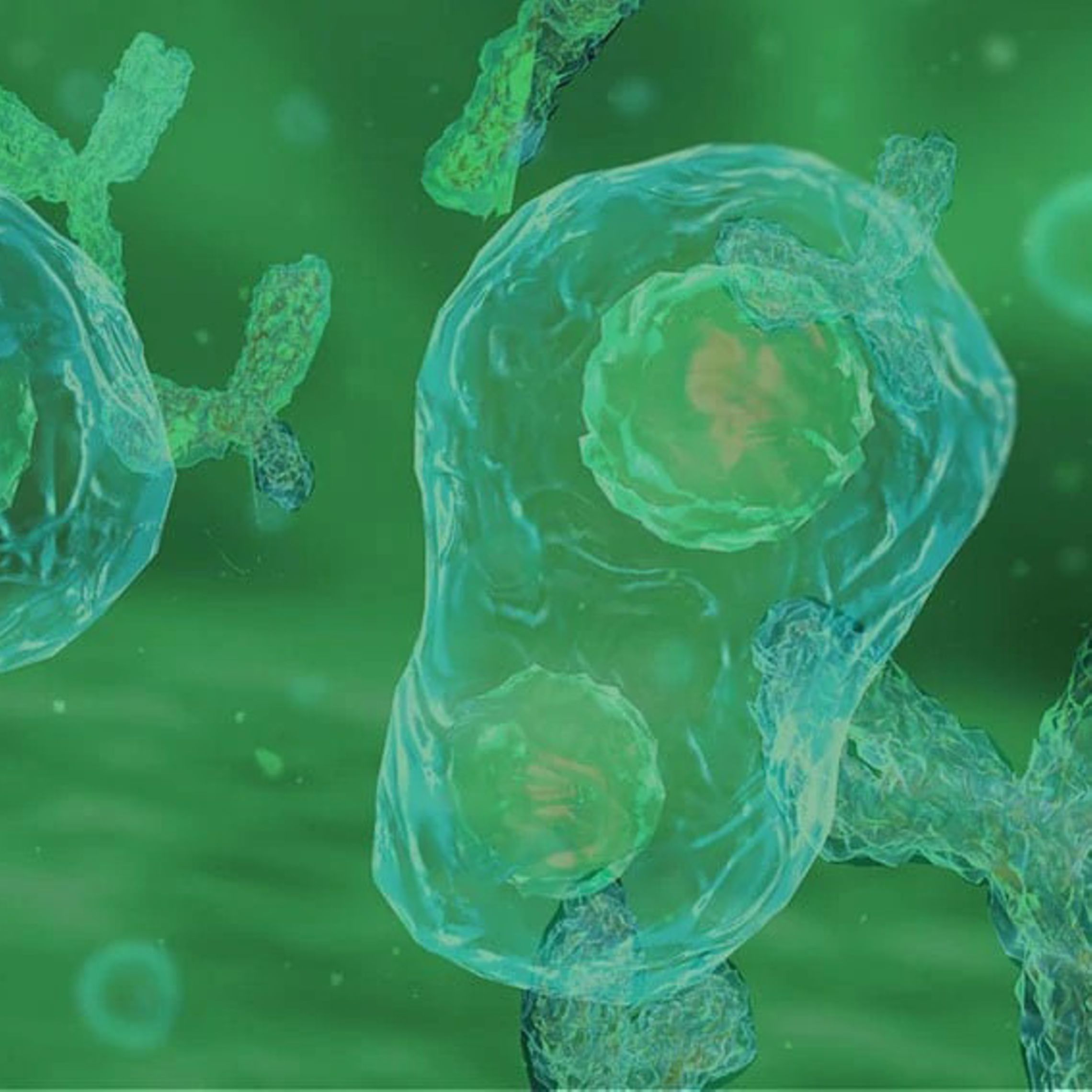 Antibody Characterization | Sartorius