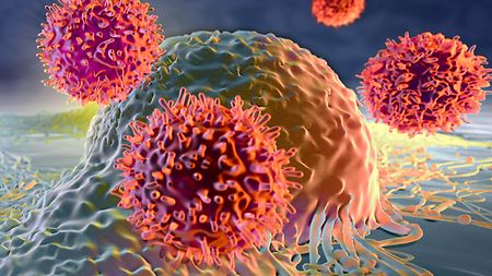 Immunology | Sartorius