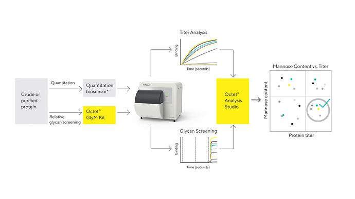 Cell Line Development Custom Solutions | Sartorius