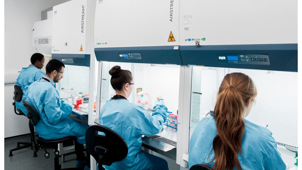 Cell Line Development Custom Solutions | Sartorius