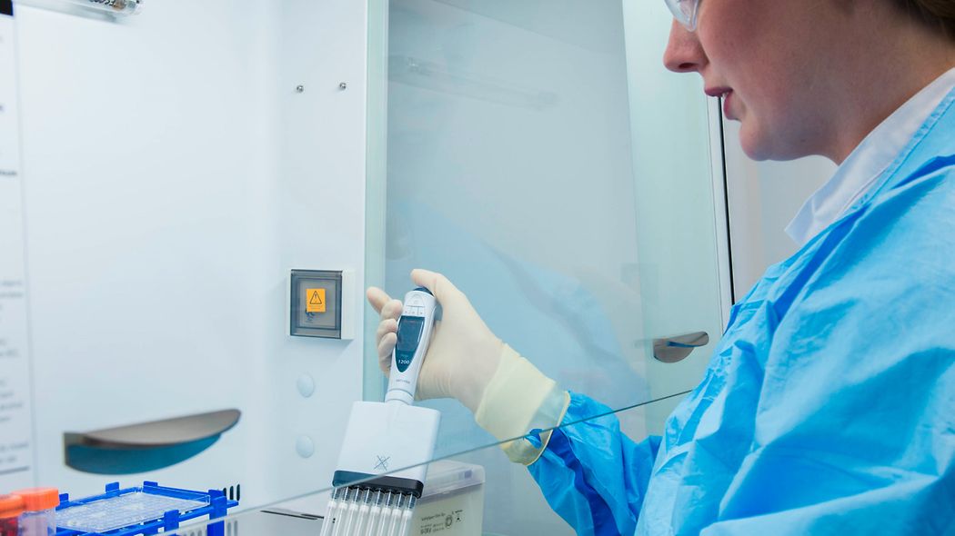 Cell Line Development Custom Solutions | Sartorius