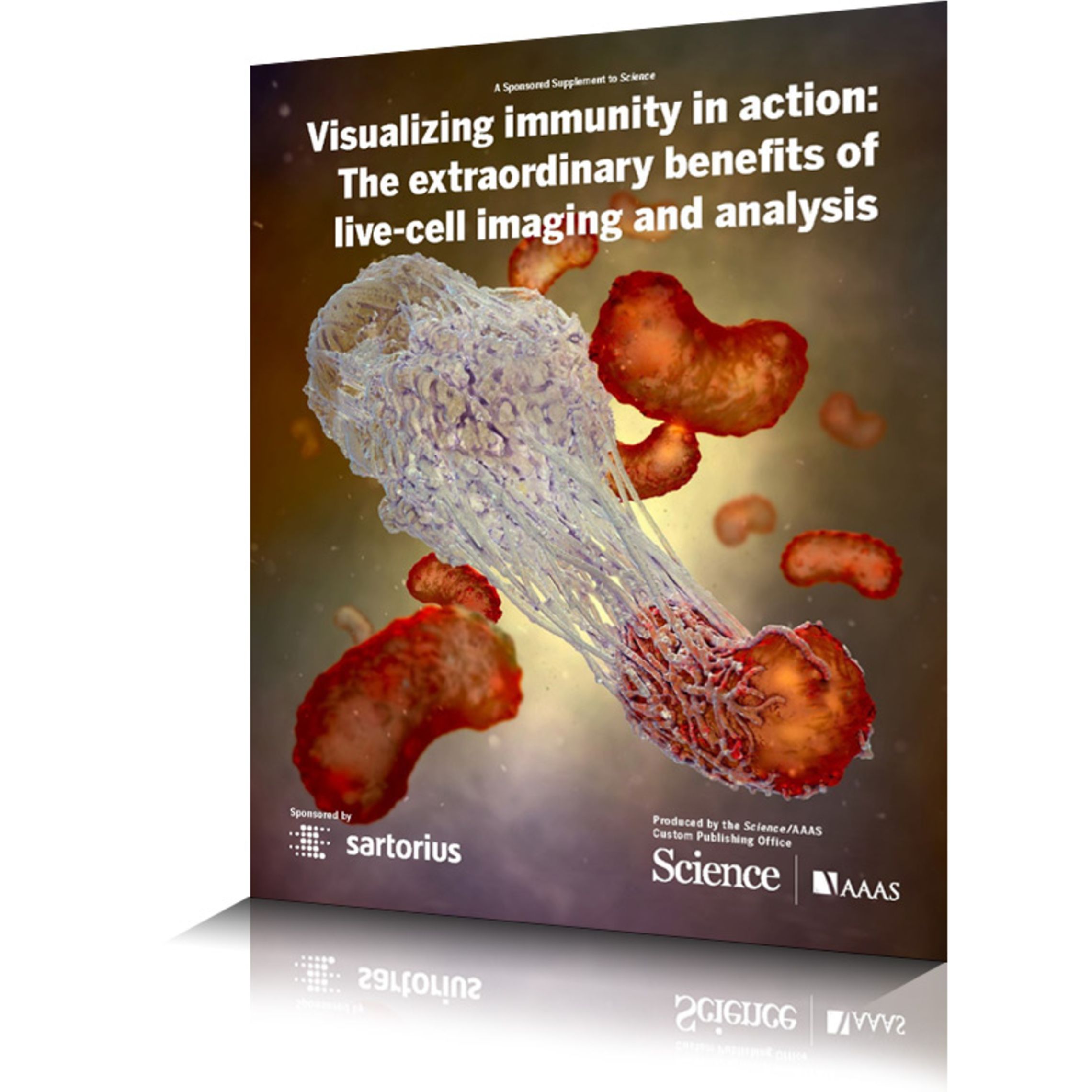 Visualizing Immunity Science Supplement | Sartorius