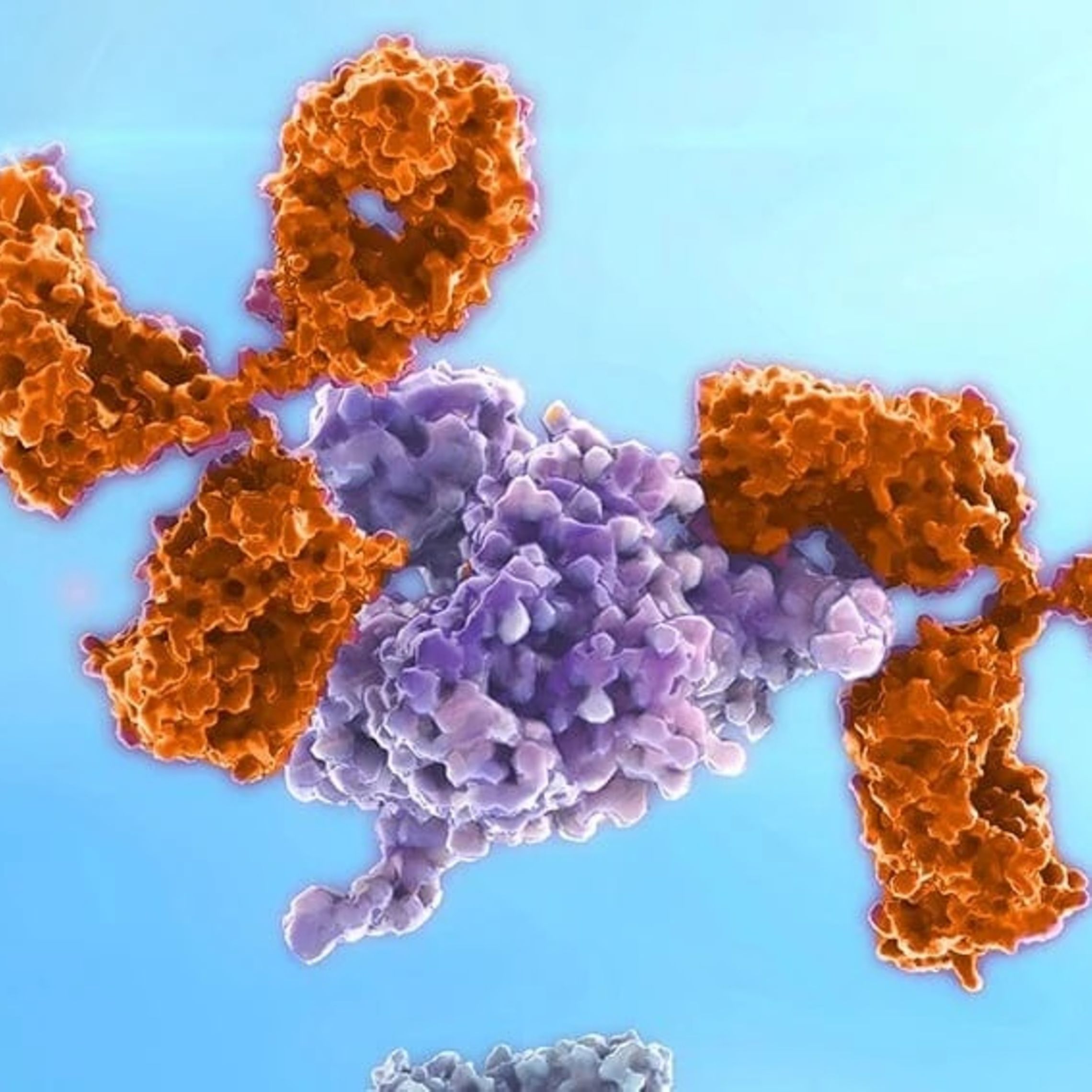 ADCC Poster | Sartorius