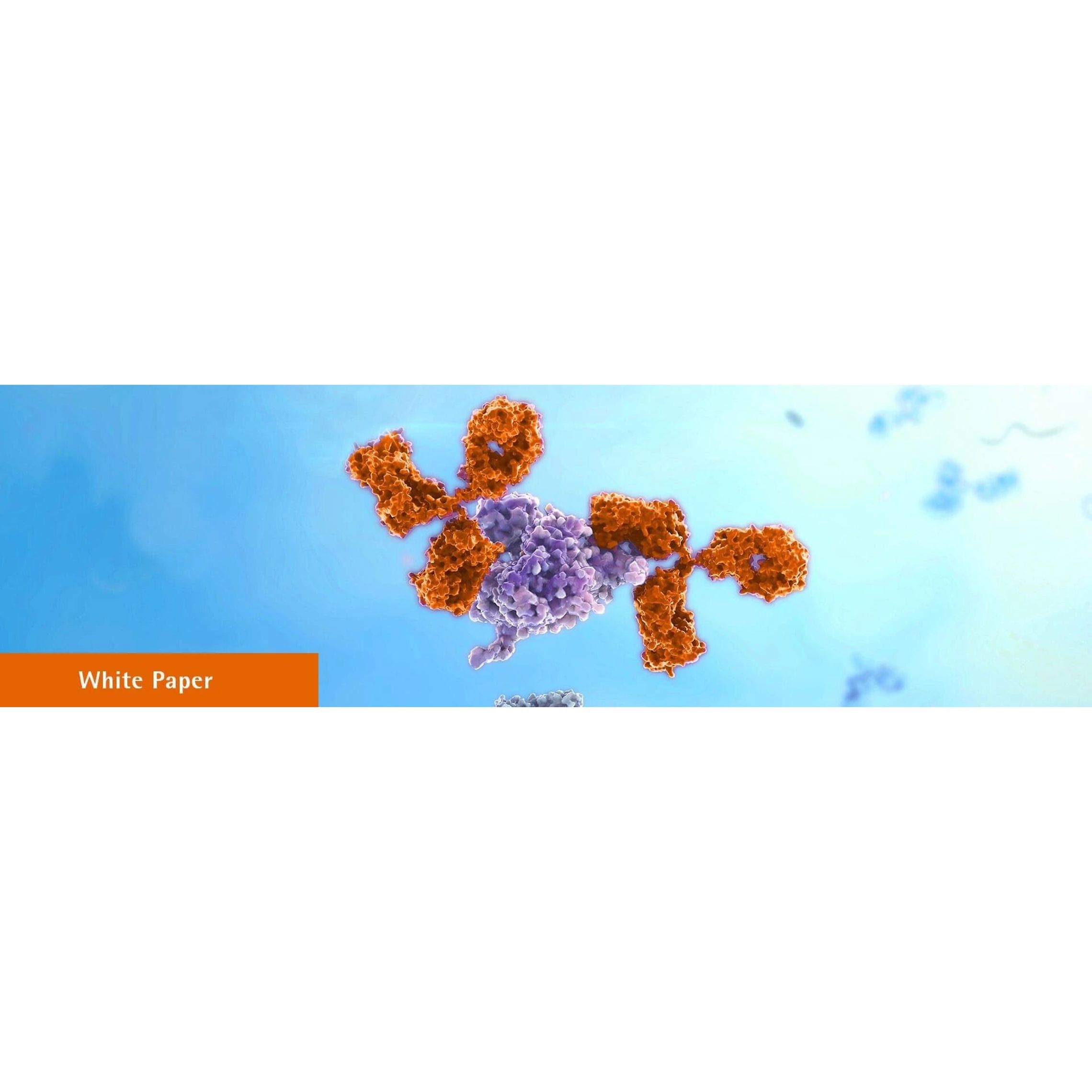 Antibody Screening White Paper | Sartorius