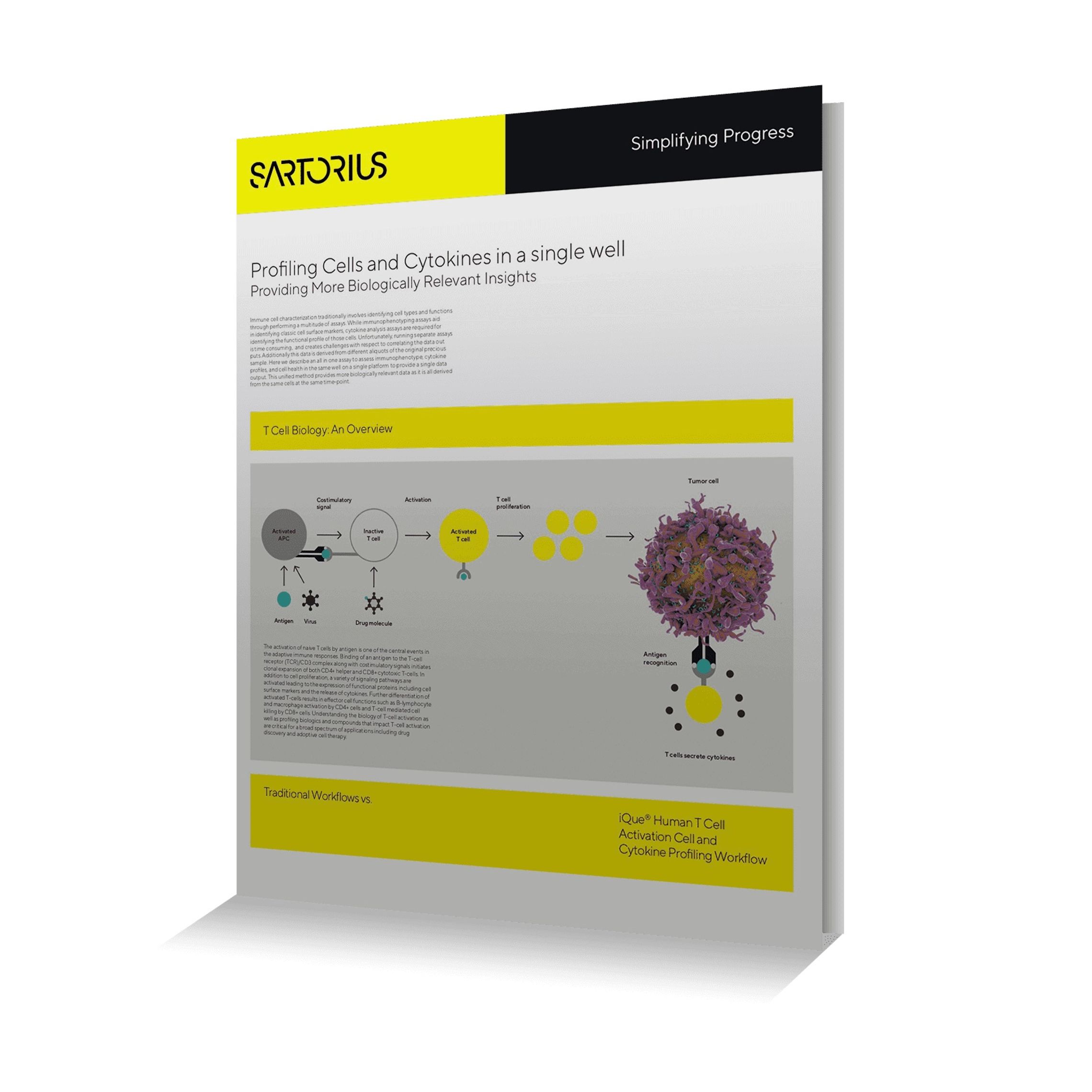 Enhancing Immune Cell Characterization Infographic | Sartorius