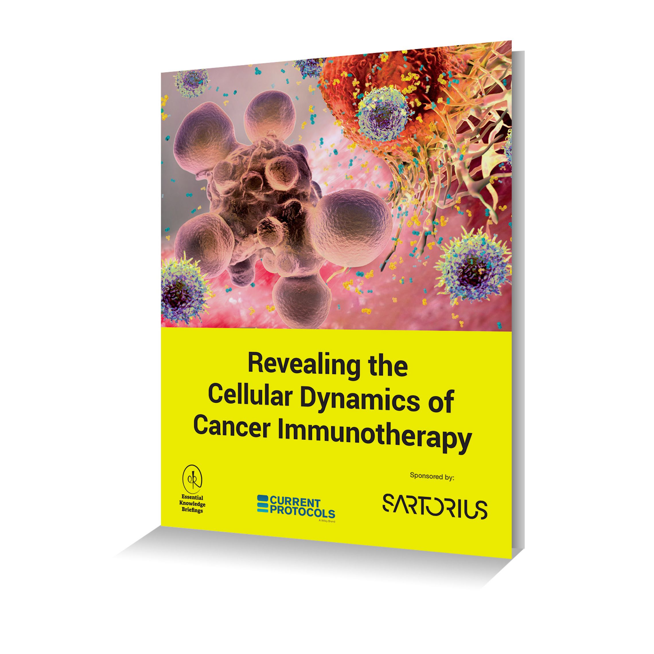 Revealing Cellular Dynamics for Cancer eBook | Sartorius