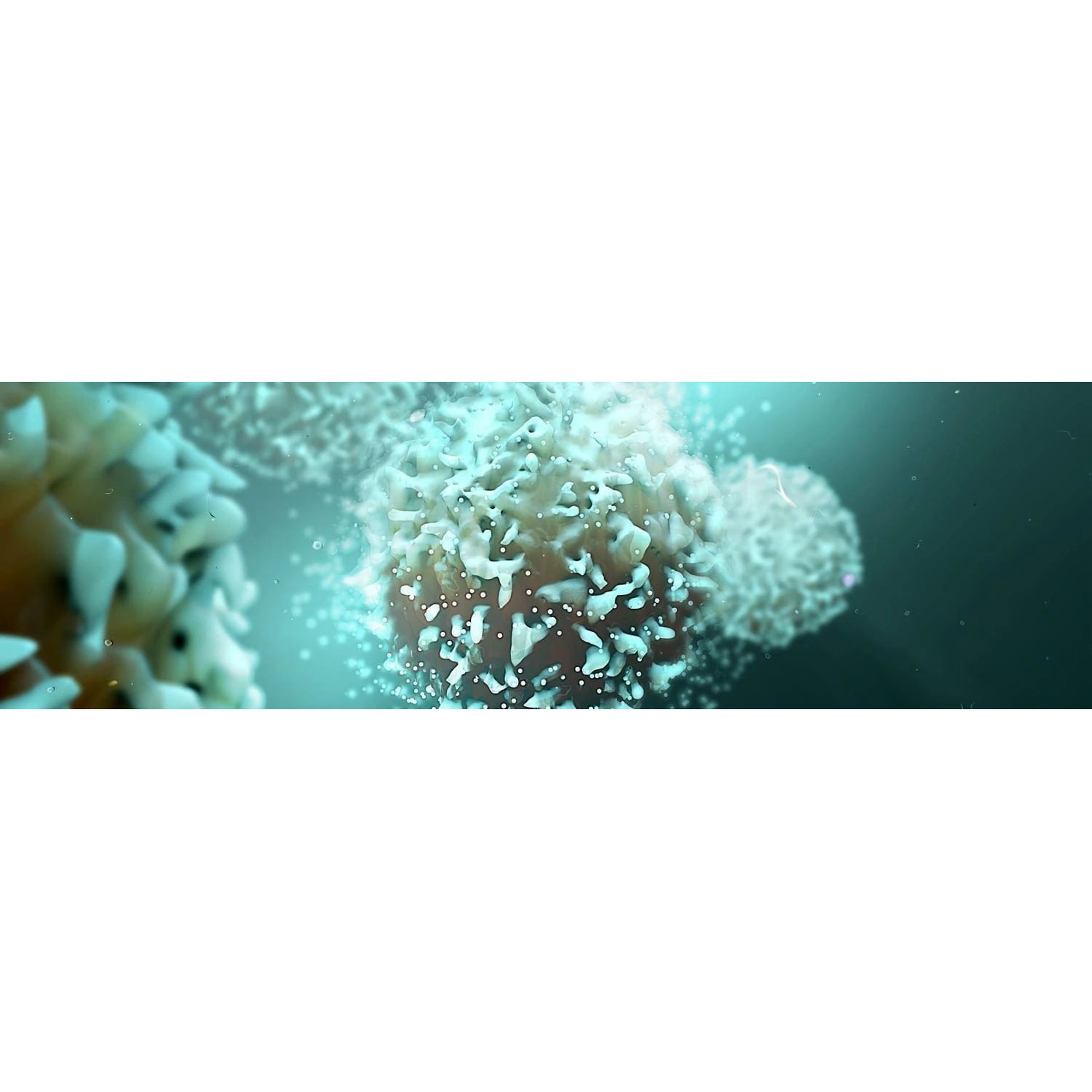 Immune-Function Profiling in Cancer Research Infographic | Sartorius