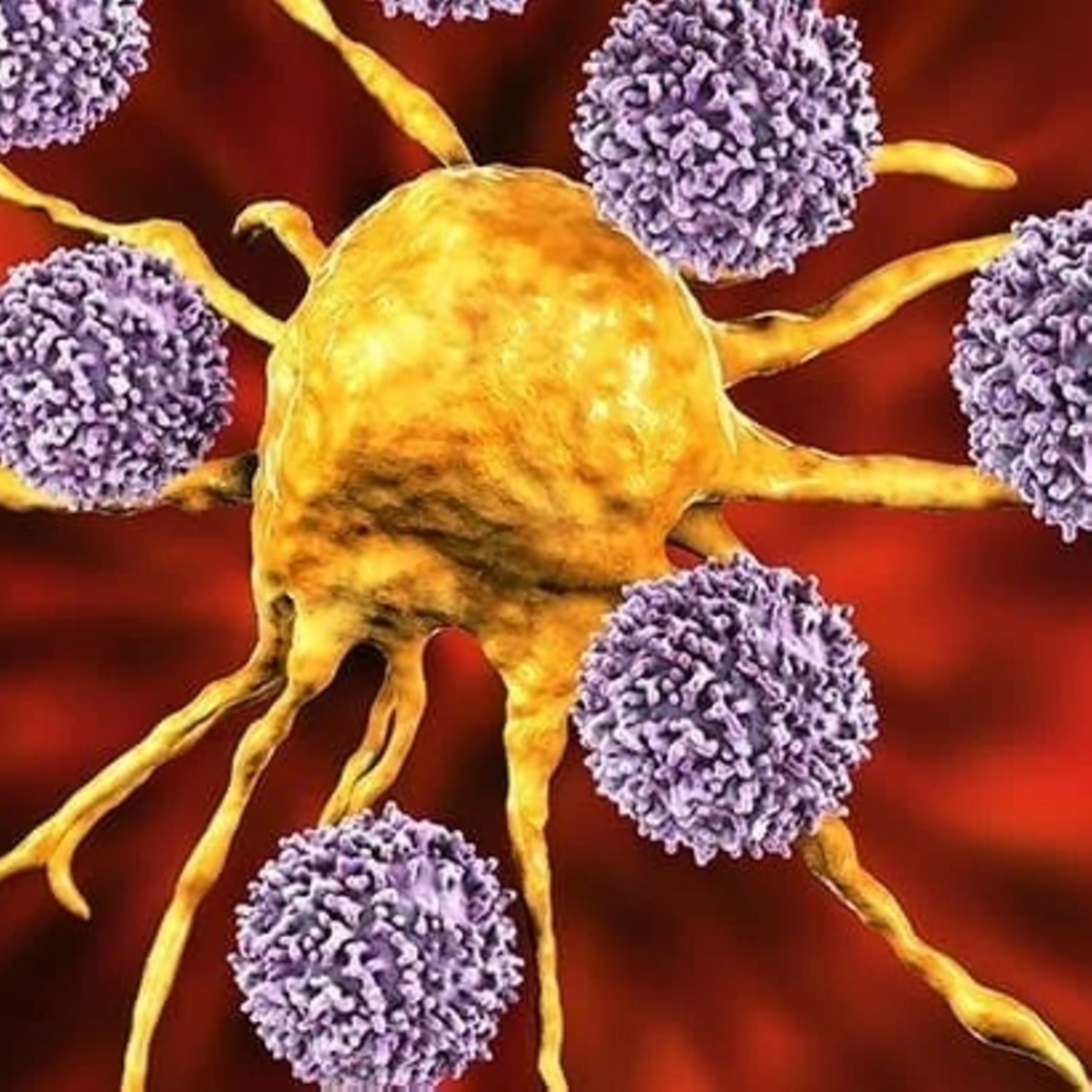 Gaining Comprehensive Insights from T-Cell Biology Using Advanced Flow ...