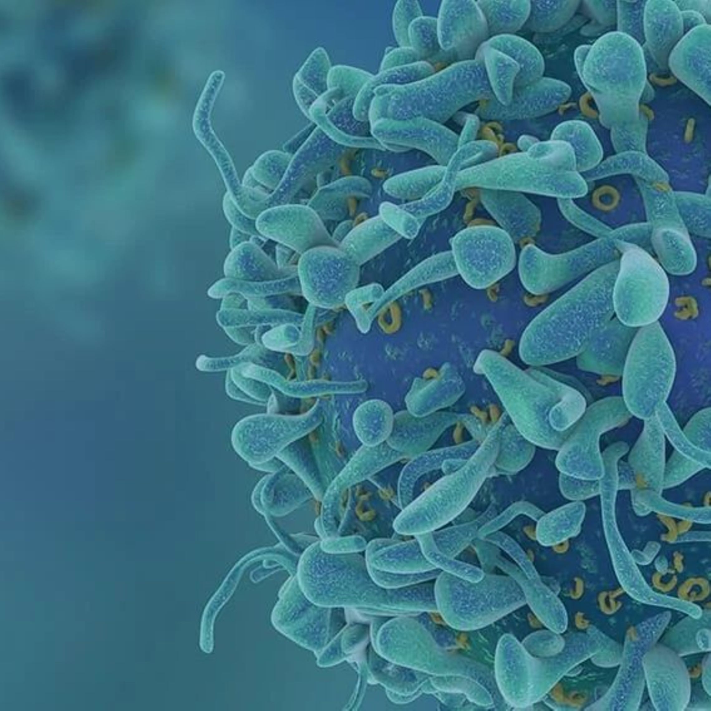 Use of the iQue as a Versatile Tool for In Vitro Immunogenicity and Immunotoxicity Risk ...