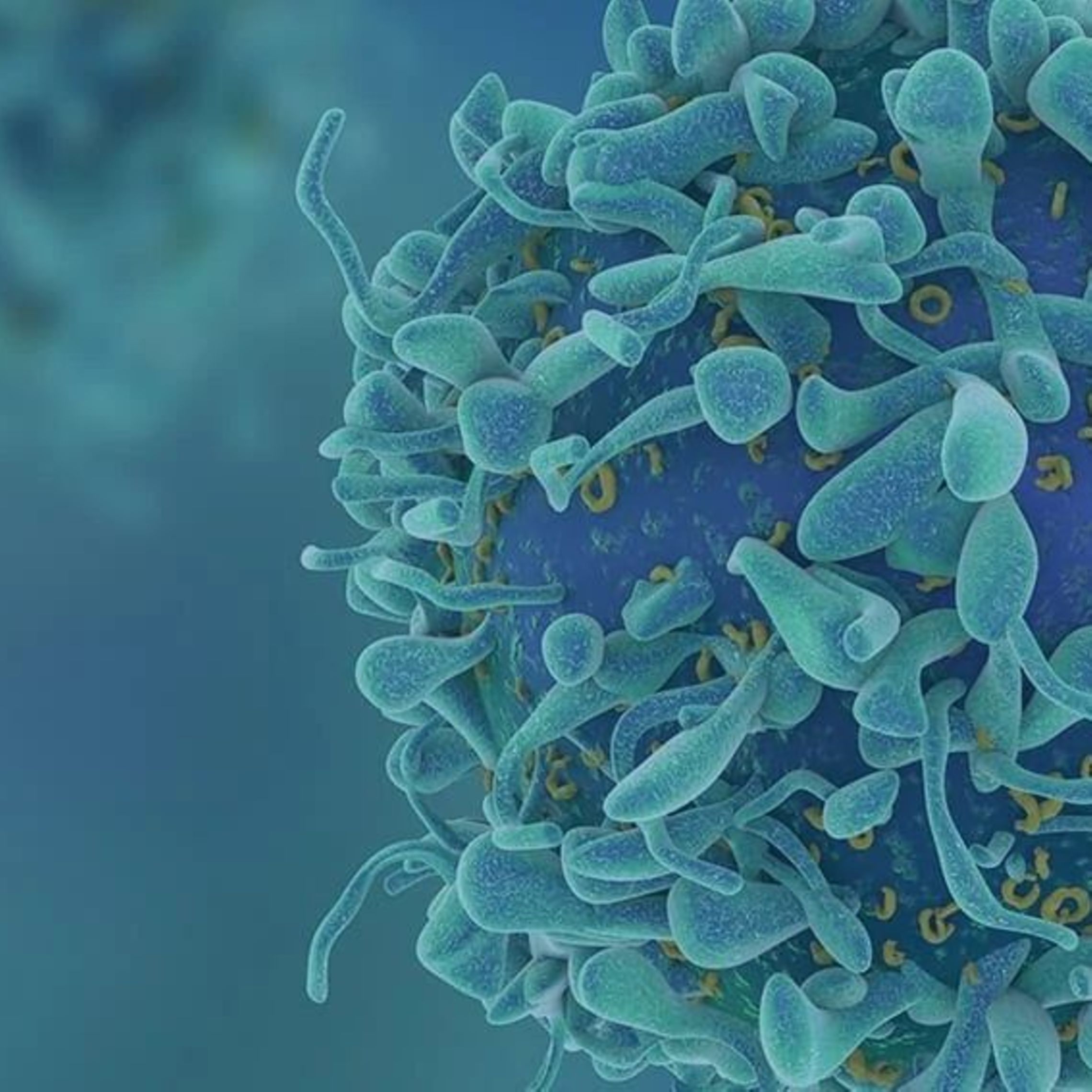 Immuno-Oncology T-Cell Activation Poster | Sartorius