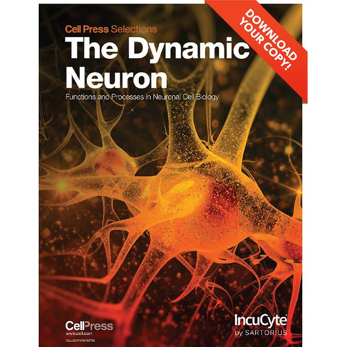Dynamic Neuron Cell Press Selection | Sartorius
