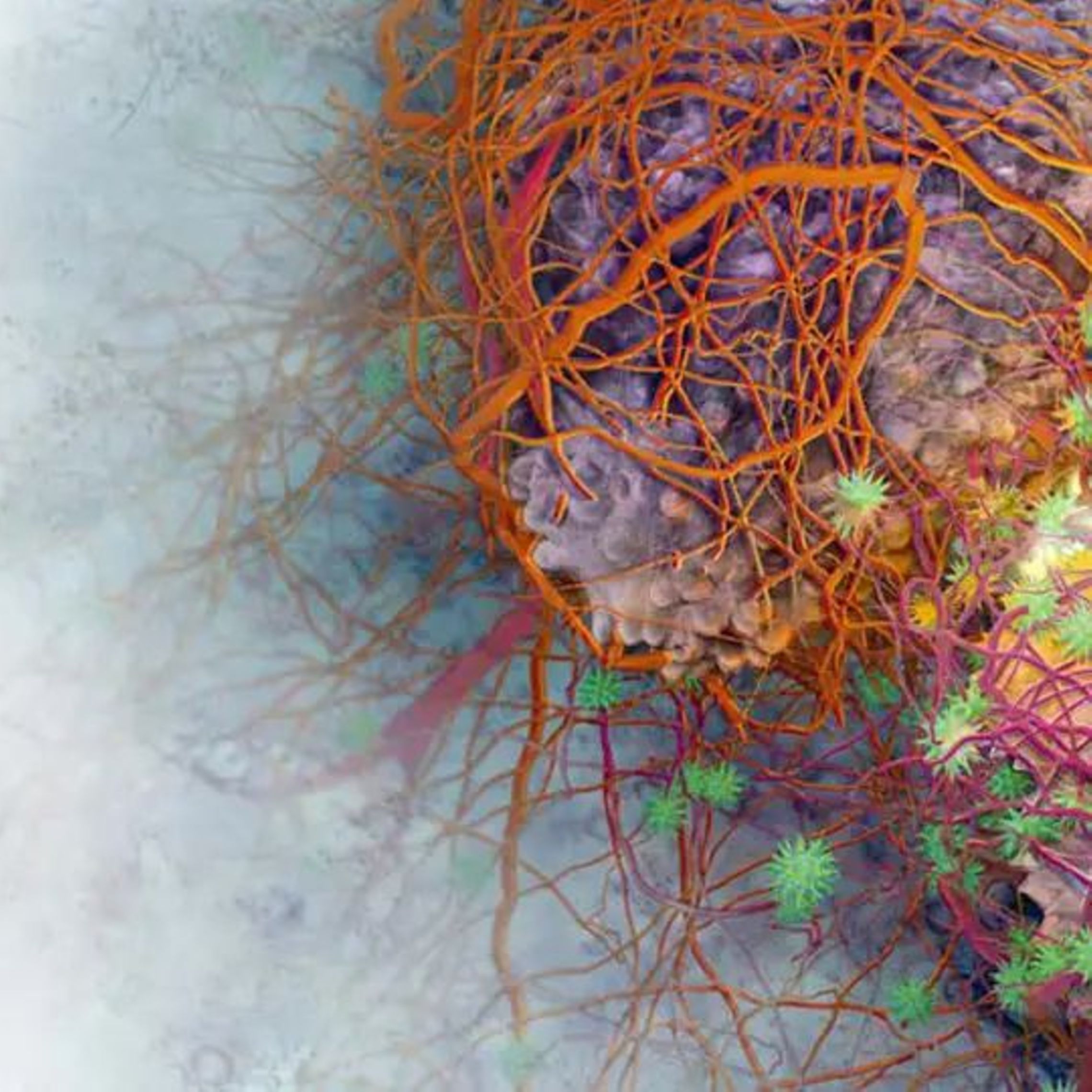 Evolution 3D Cell Culture Cancer Models Webinar | Sartorius