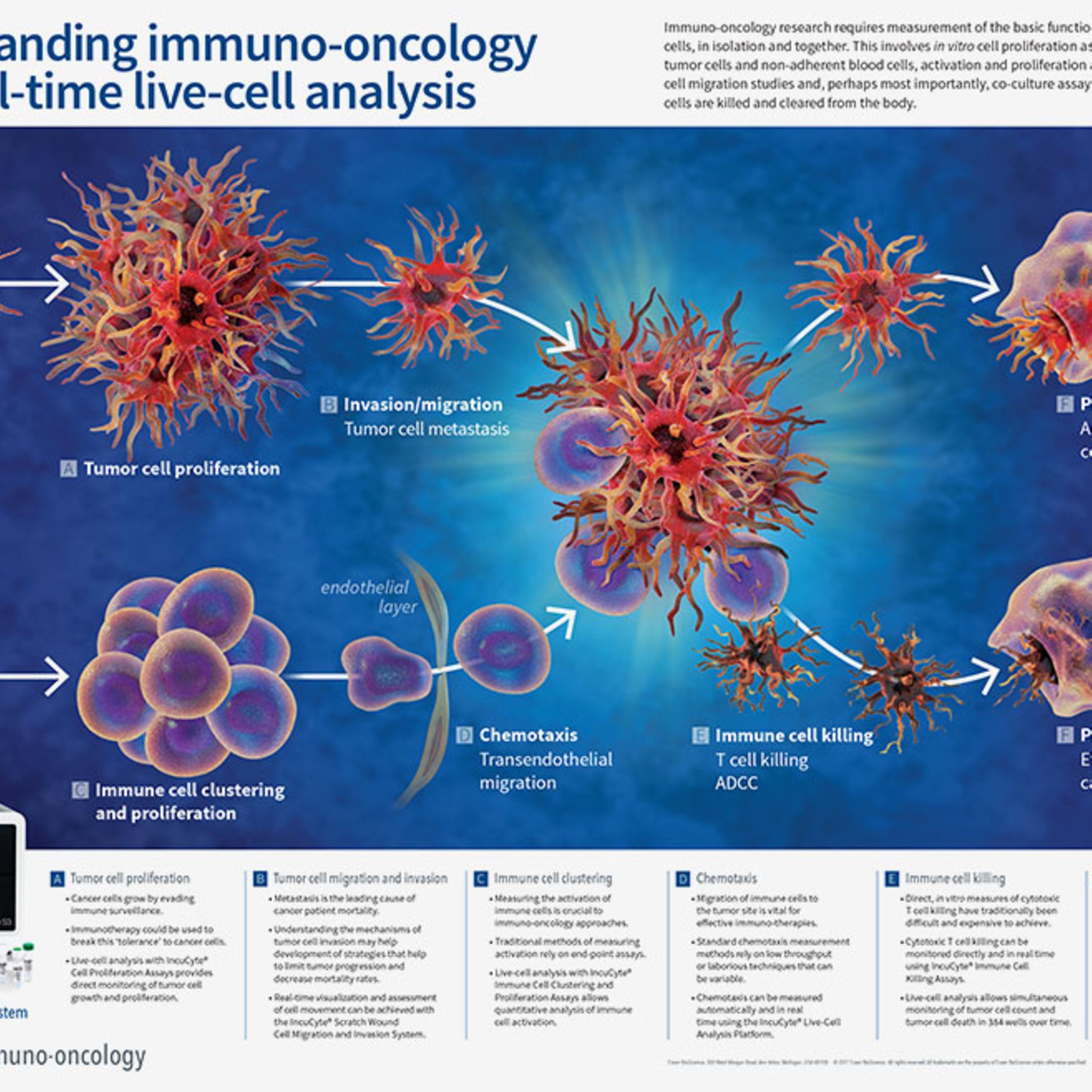 Immuno-Oncology Request Infographic | Sartorius