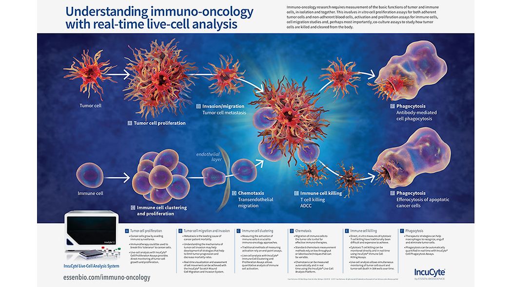 Immuno-oncology | Sartorius