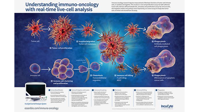 Immuno-oncology | Sartorius