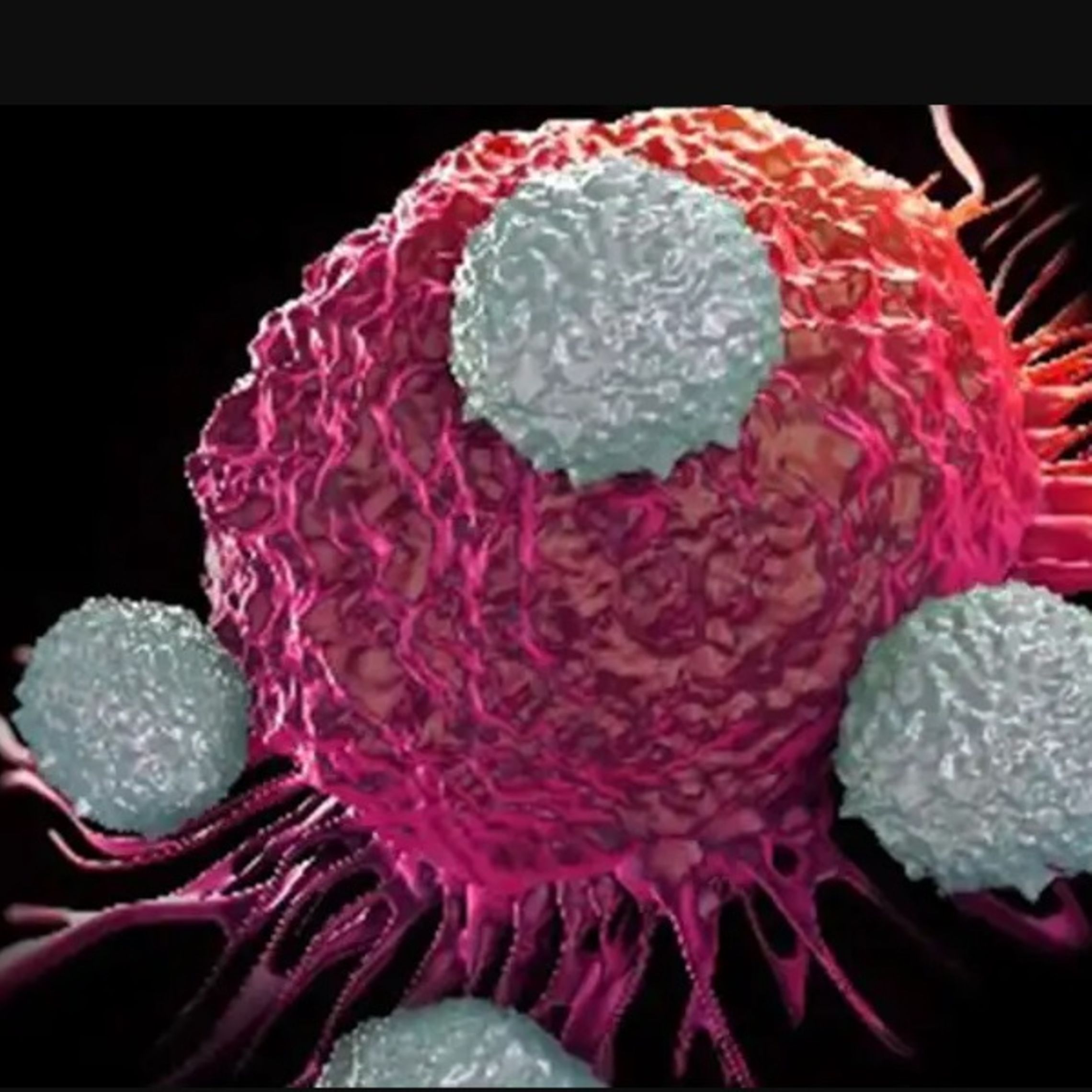 Natural Killer Cells | Sartorius