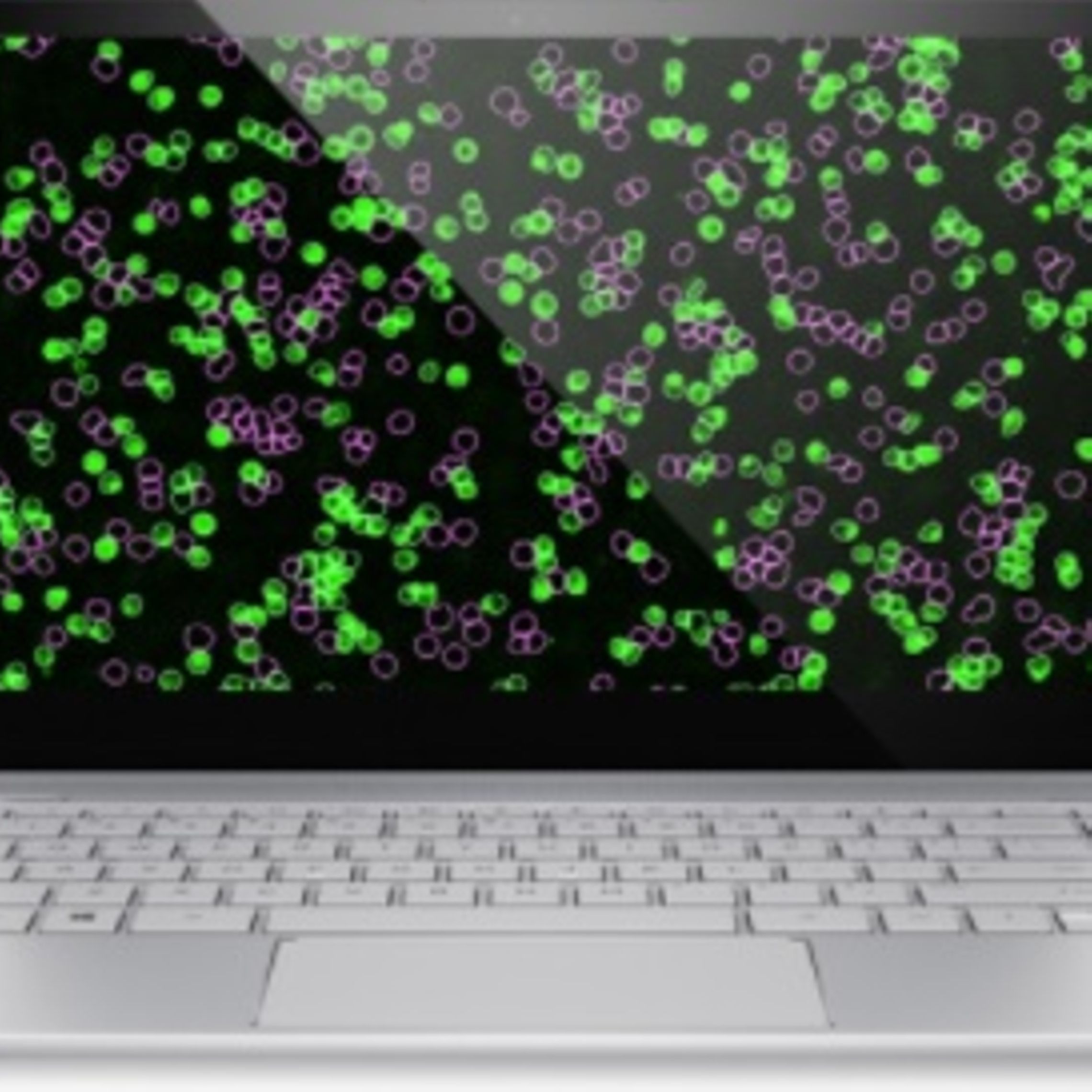 Incucyte S3 Software v2018B | Sartorius