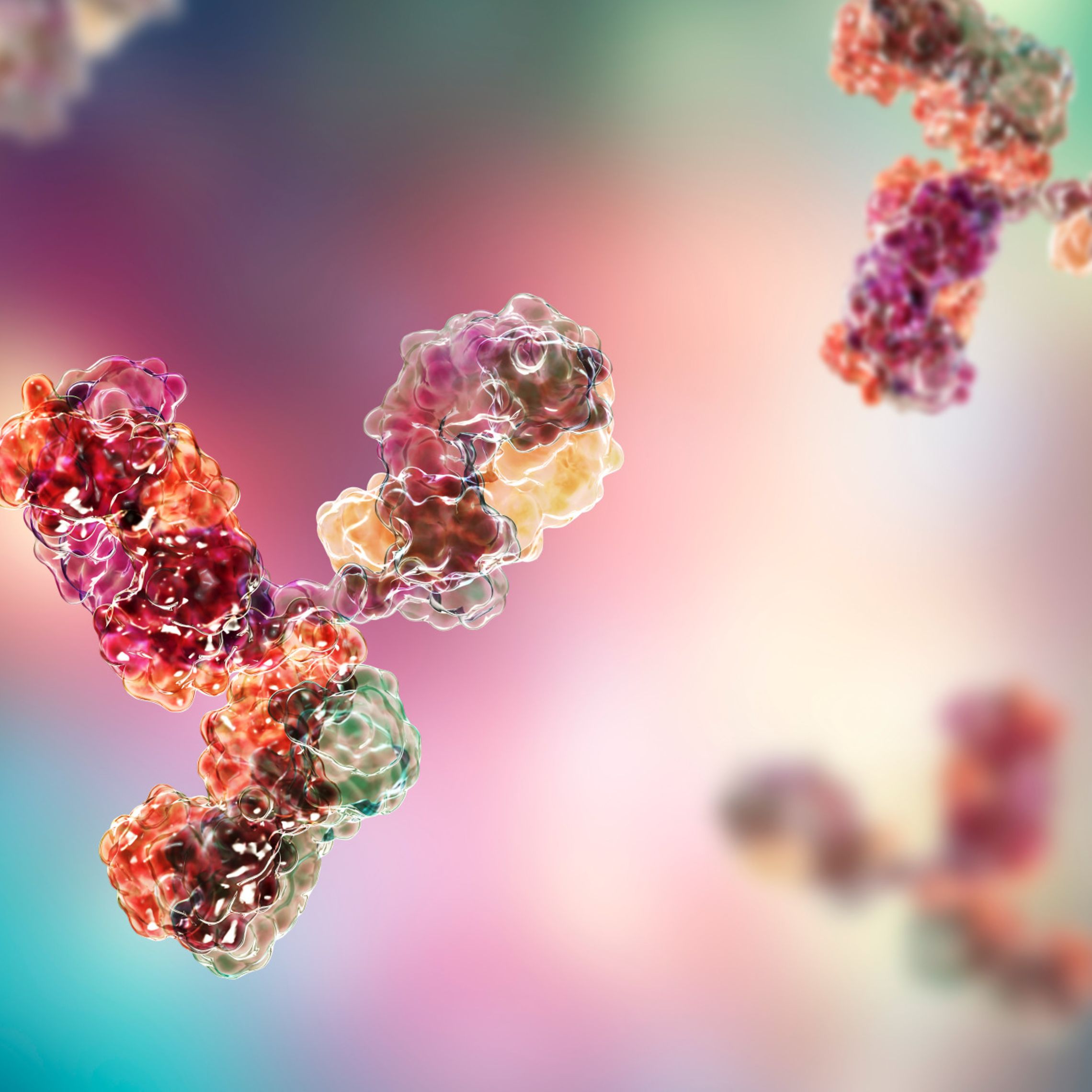 Characterizing Anti-HER2 Antibodies with a Combined Platform Approach