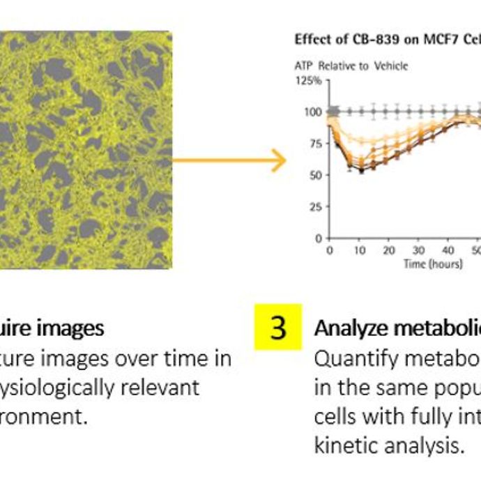 Incucyte ATP Analysis Software | Sartorius
